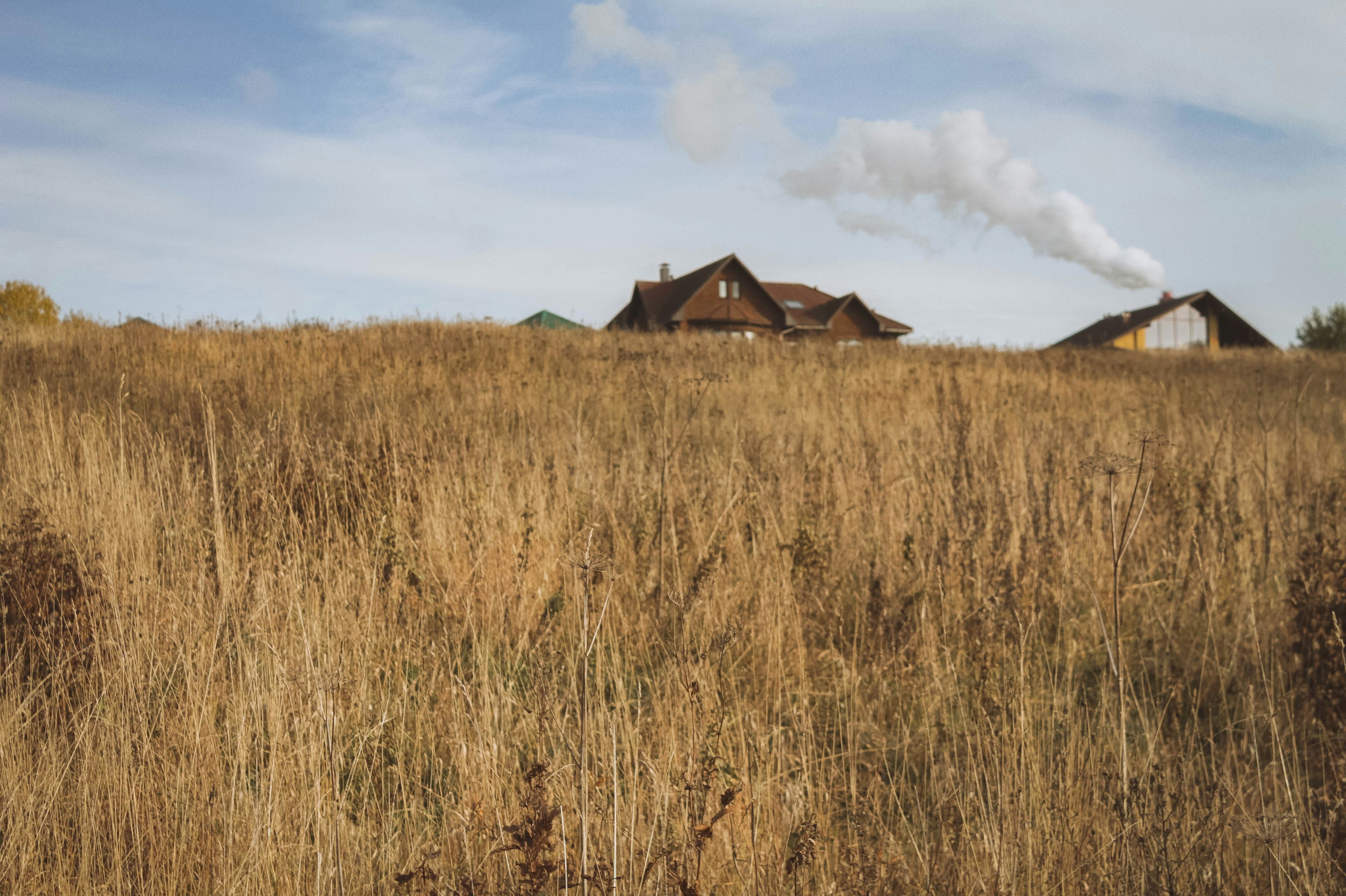 Dusty meadow to a distant manor: smoke over a rural horizon