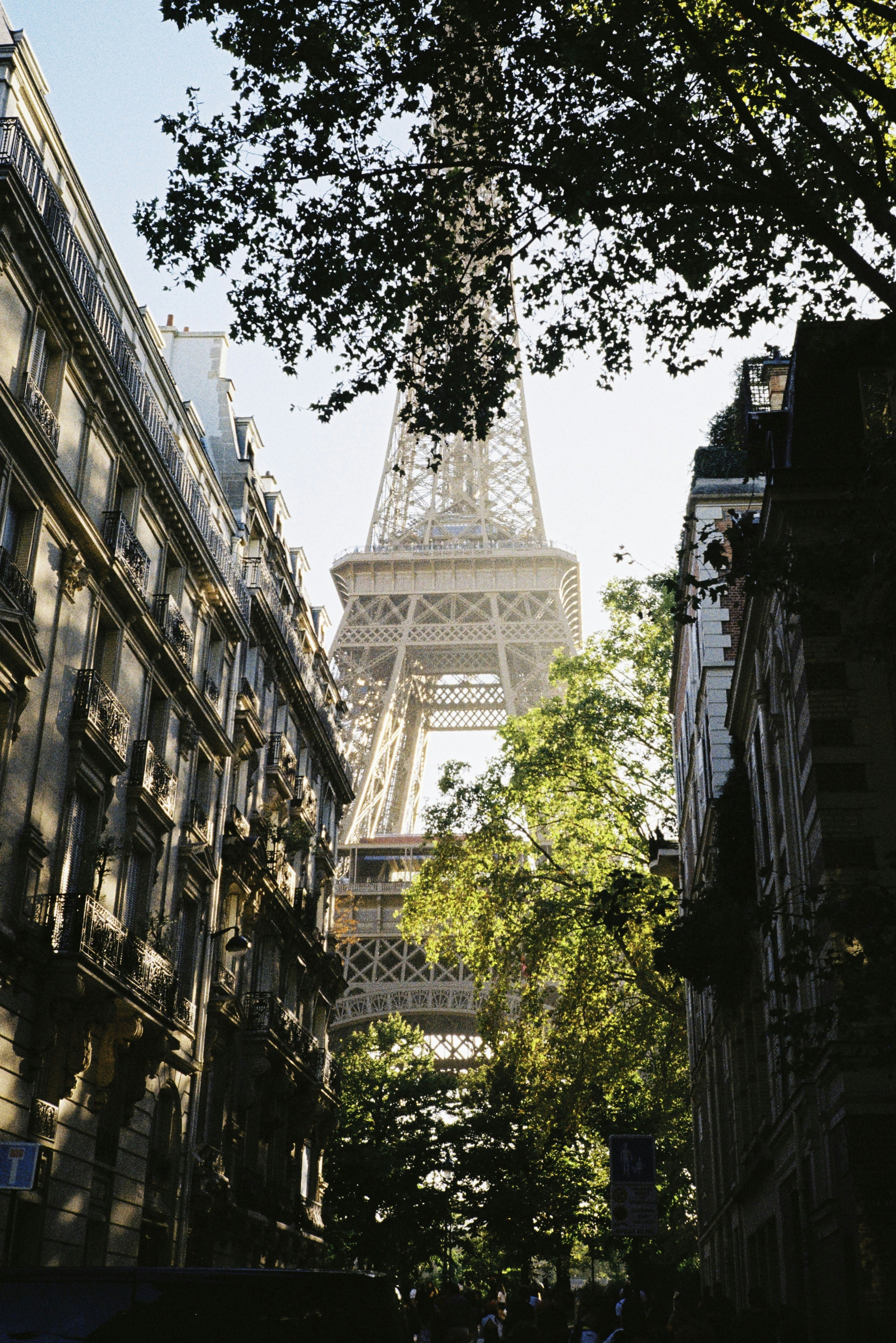 the eiffel tower towering over the city of paris