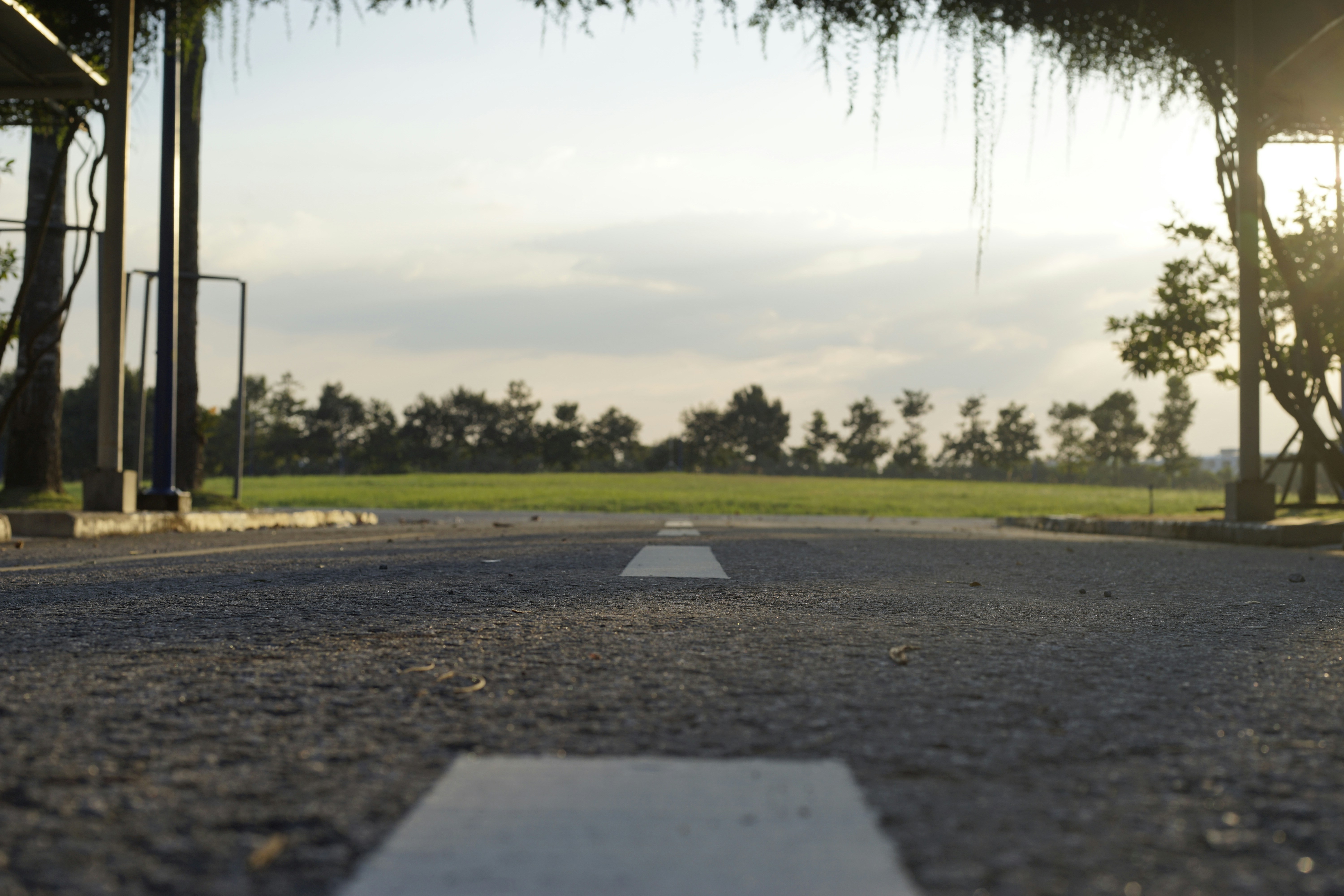 Photo by Jesse K with Sony Alpha 7 II