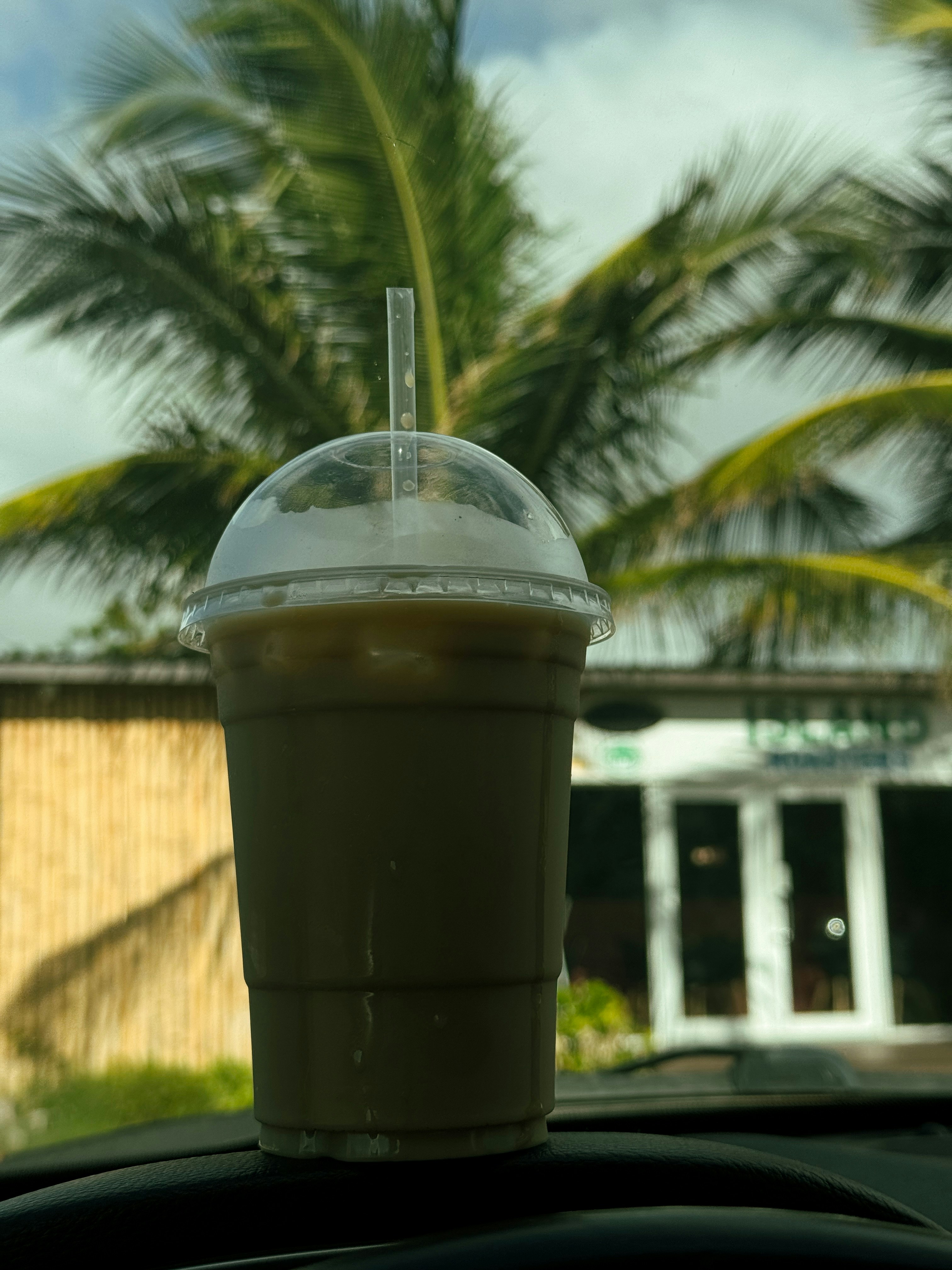 Palm-Backdrop Cup: A Daylight Portrait on the Car Dashboard