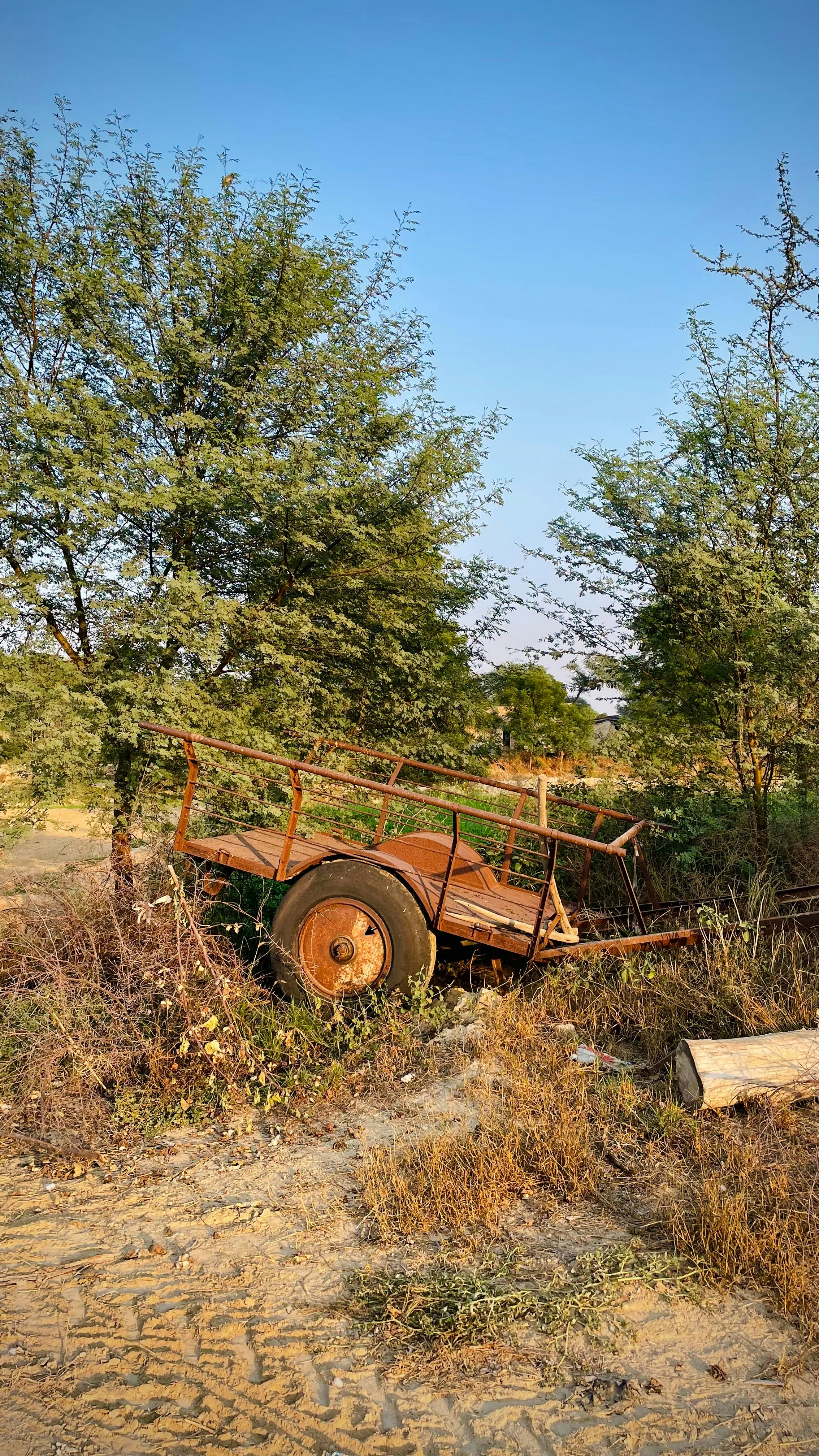 Abandoned Rusted Wagon Resting Among Dry Brush and Trees