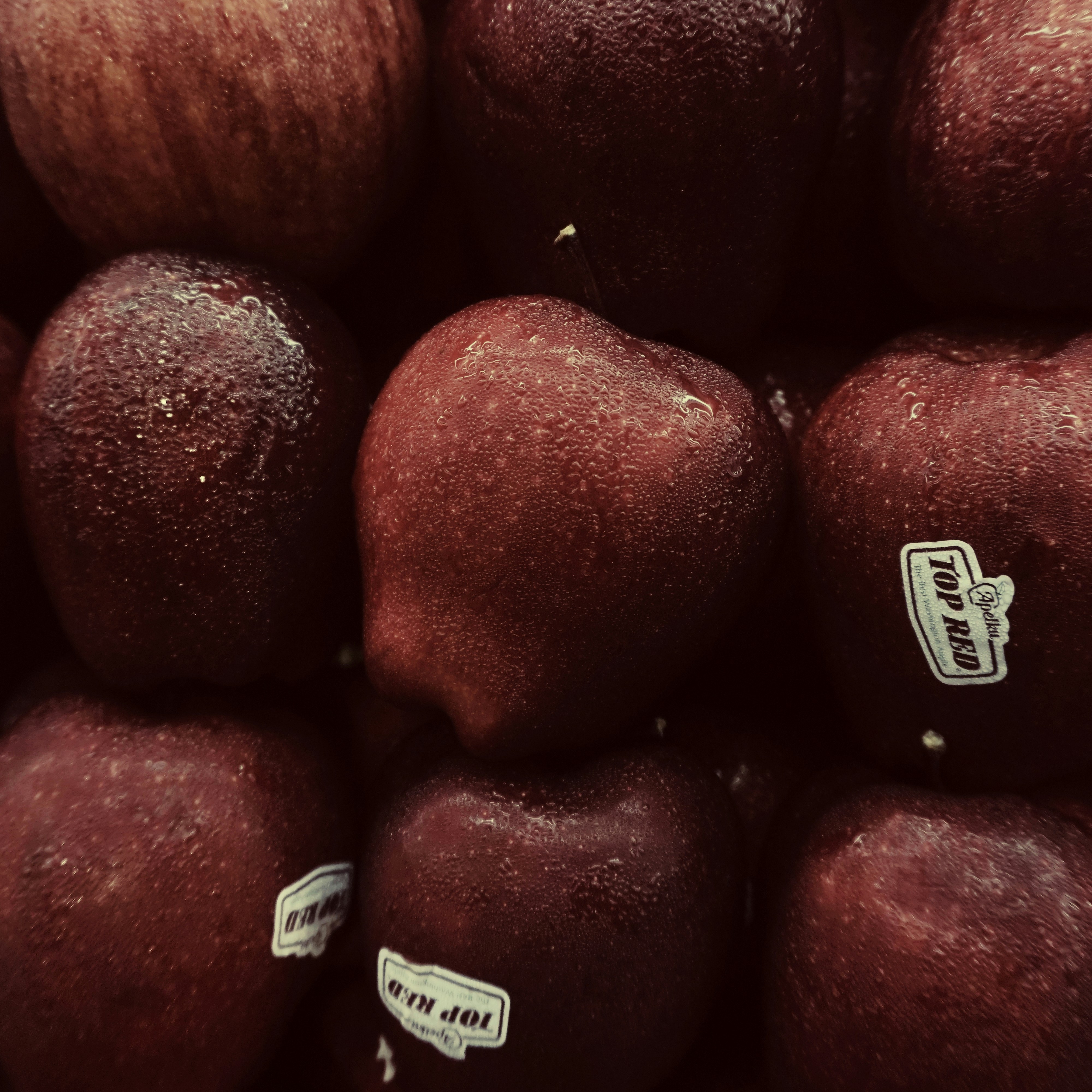 Top Red in Focus: Macro Portrait of Stickered Apples