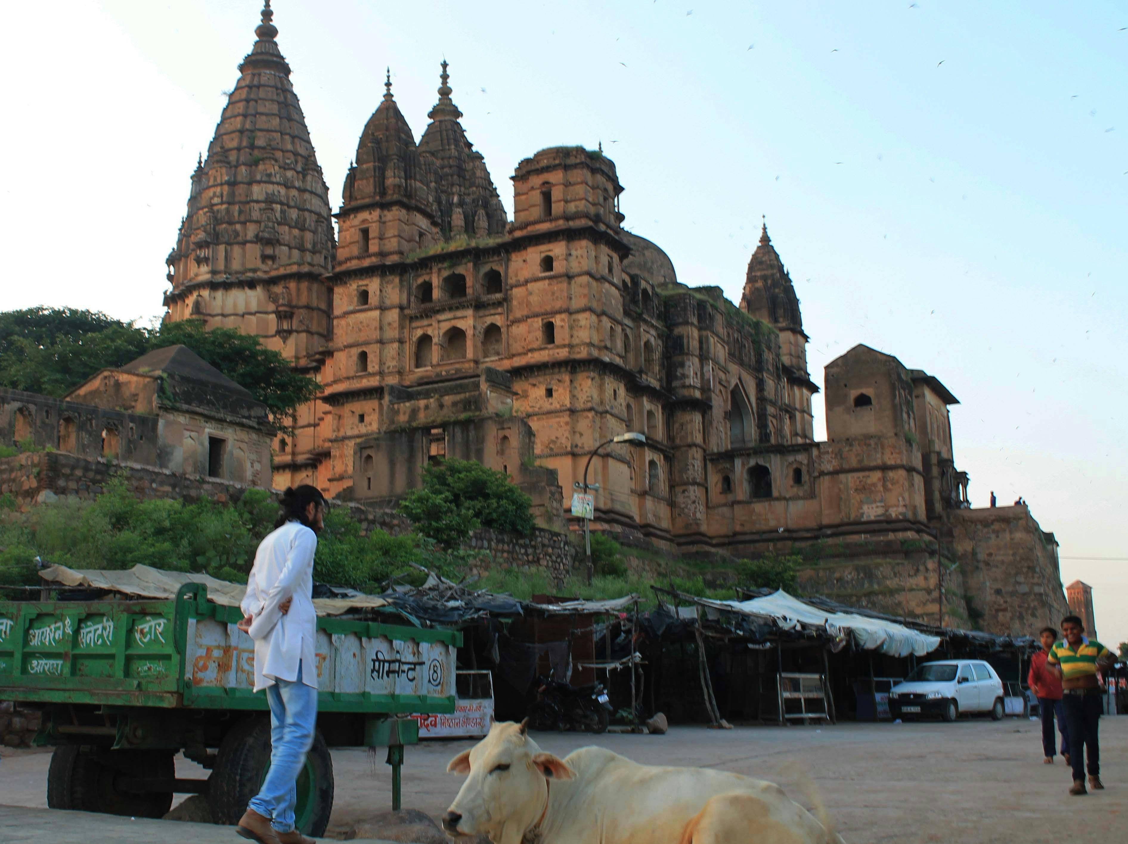 Historic sandstone fort with intricate spires under a clear blue sky, with people and a cow in the foreground.