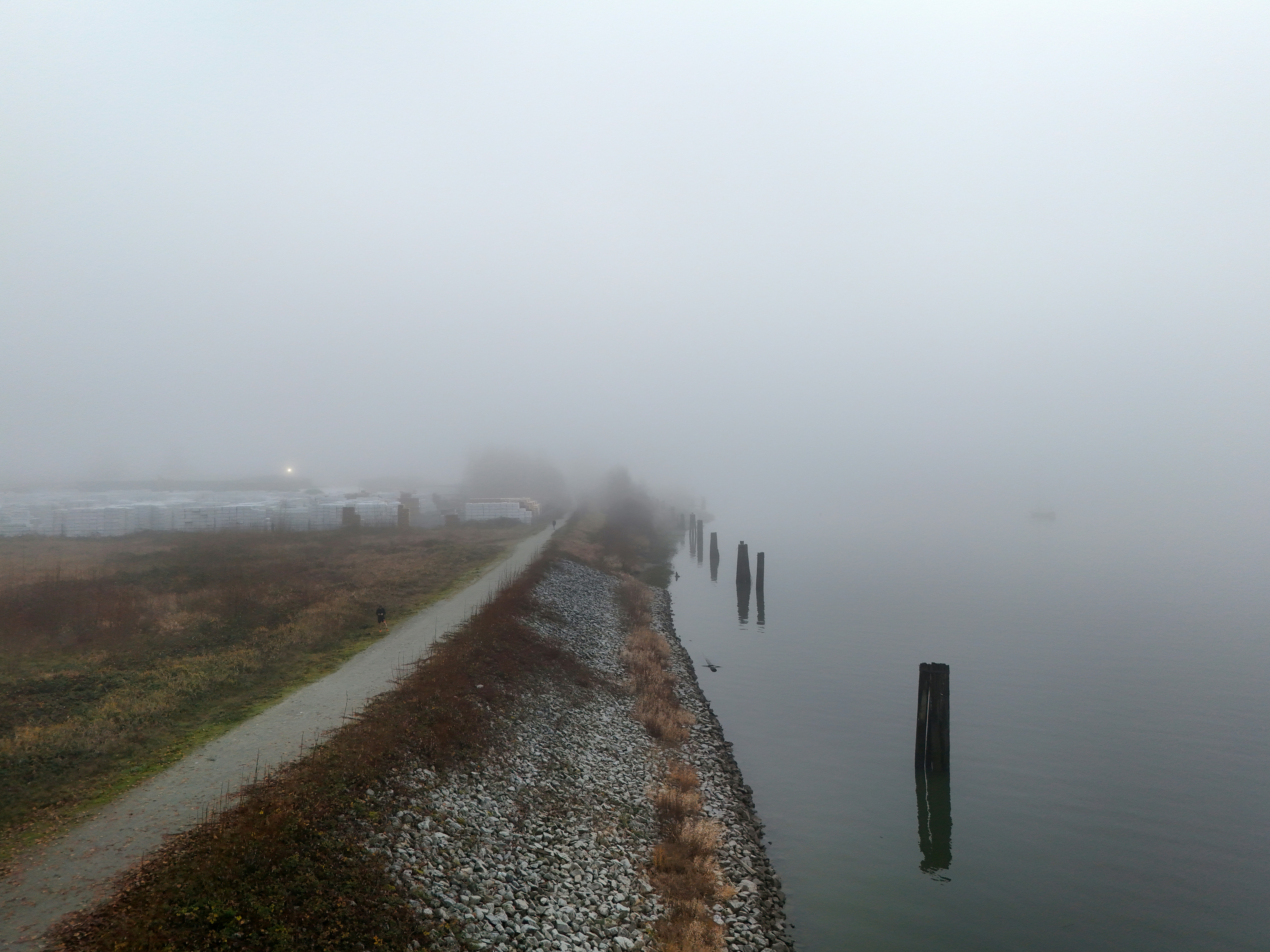 Mist-Lined Jetty: A Quiet Convergence Through the Fog