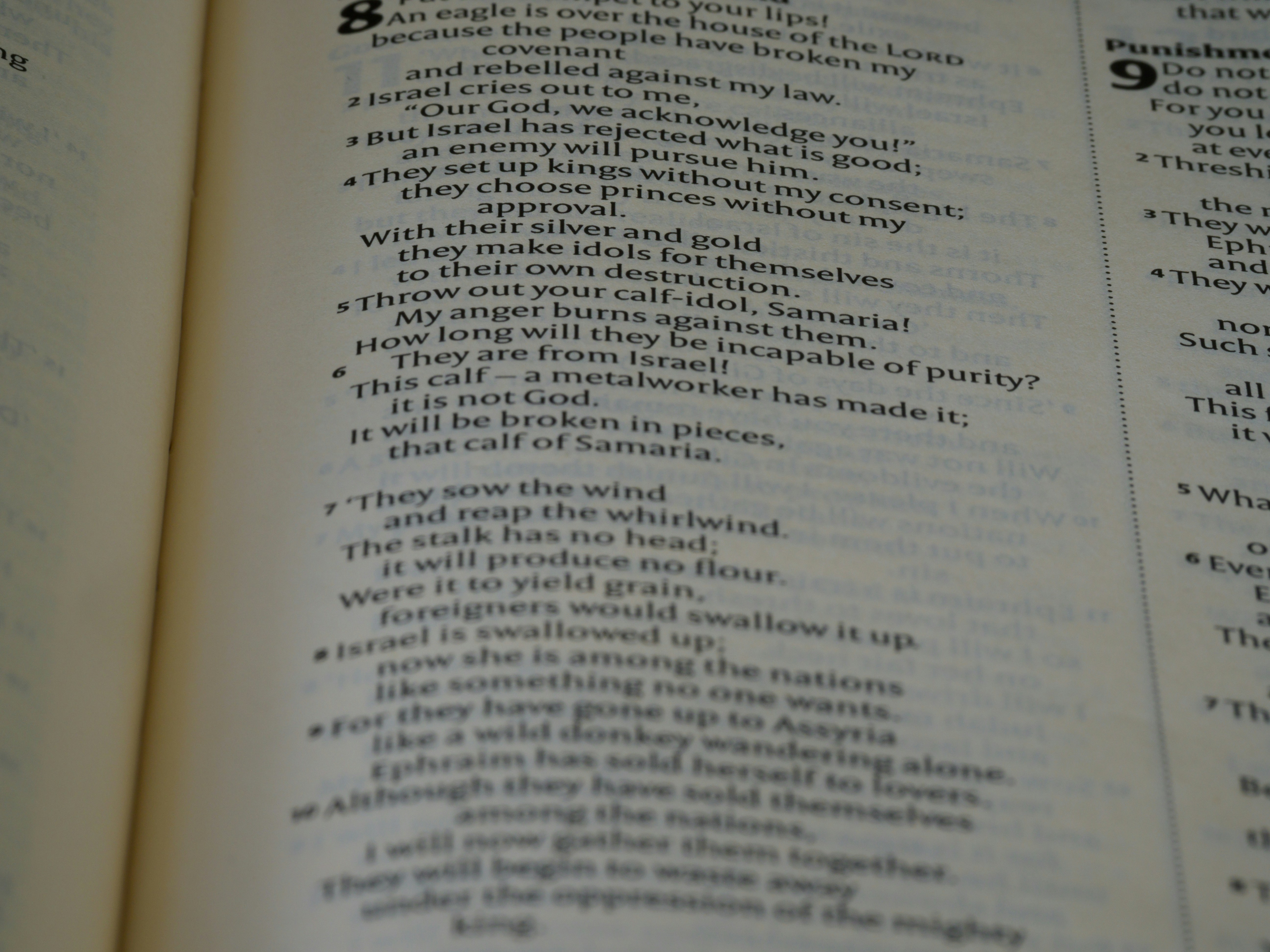 A close up of an open book with words on it photo – Free Text Image on ...