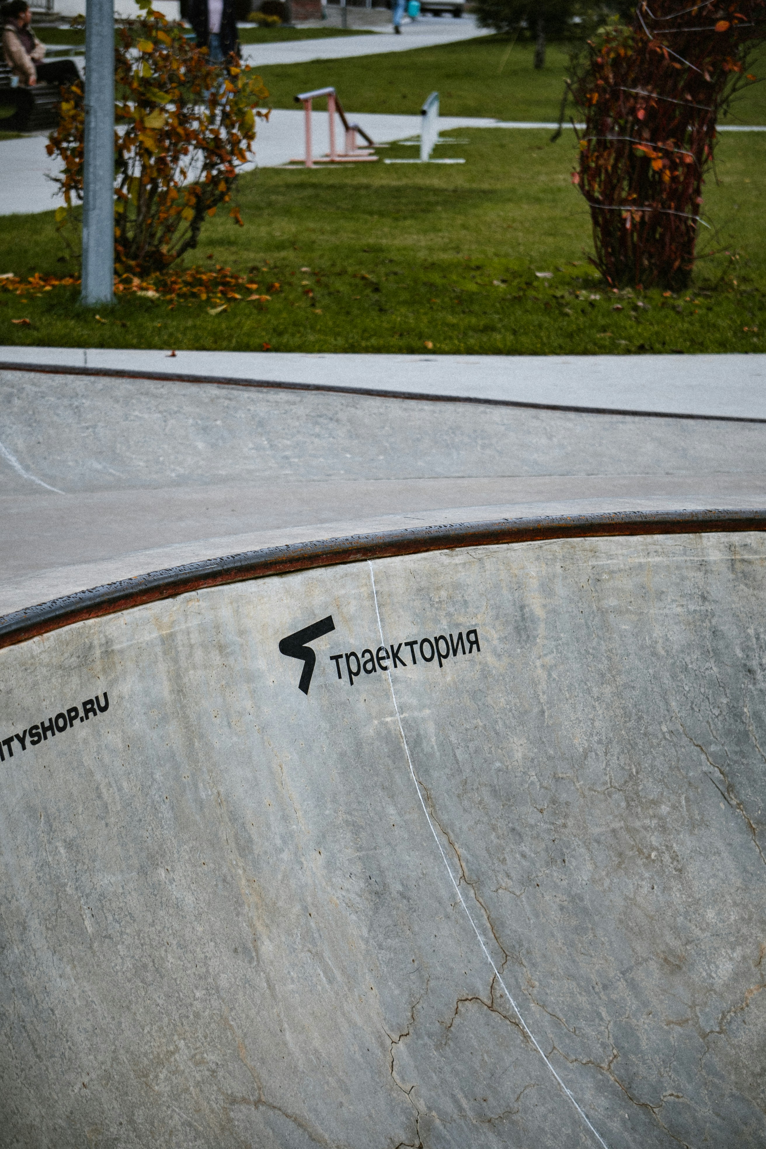 Trajectory in Concrete: Geometry and Leaves in a Quiet Skate Park