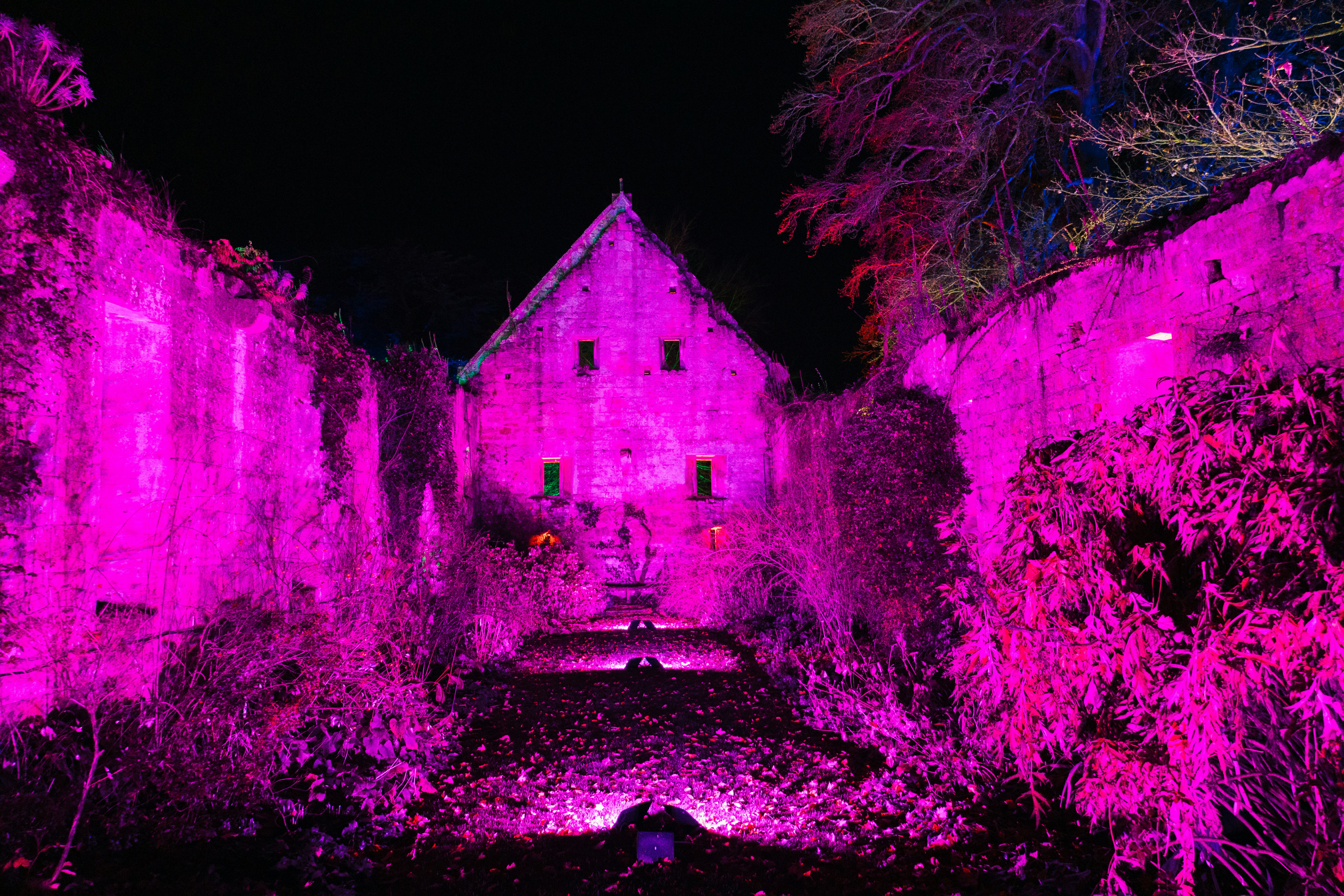 A purple light is shining on a building photo – Free Pink Image on Unsplash