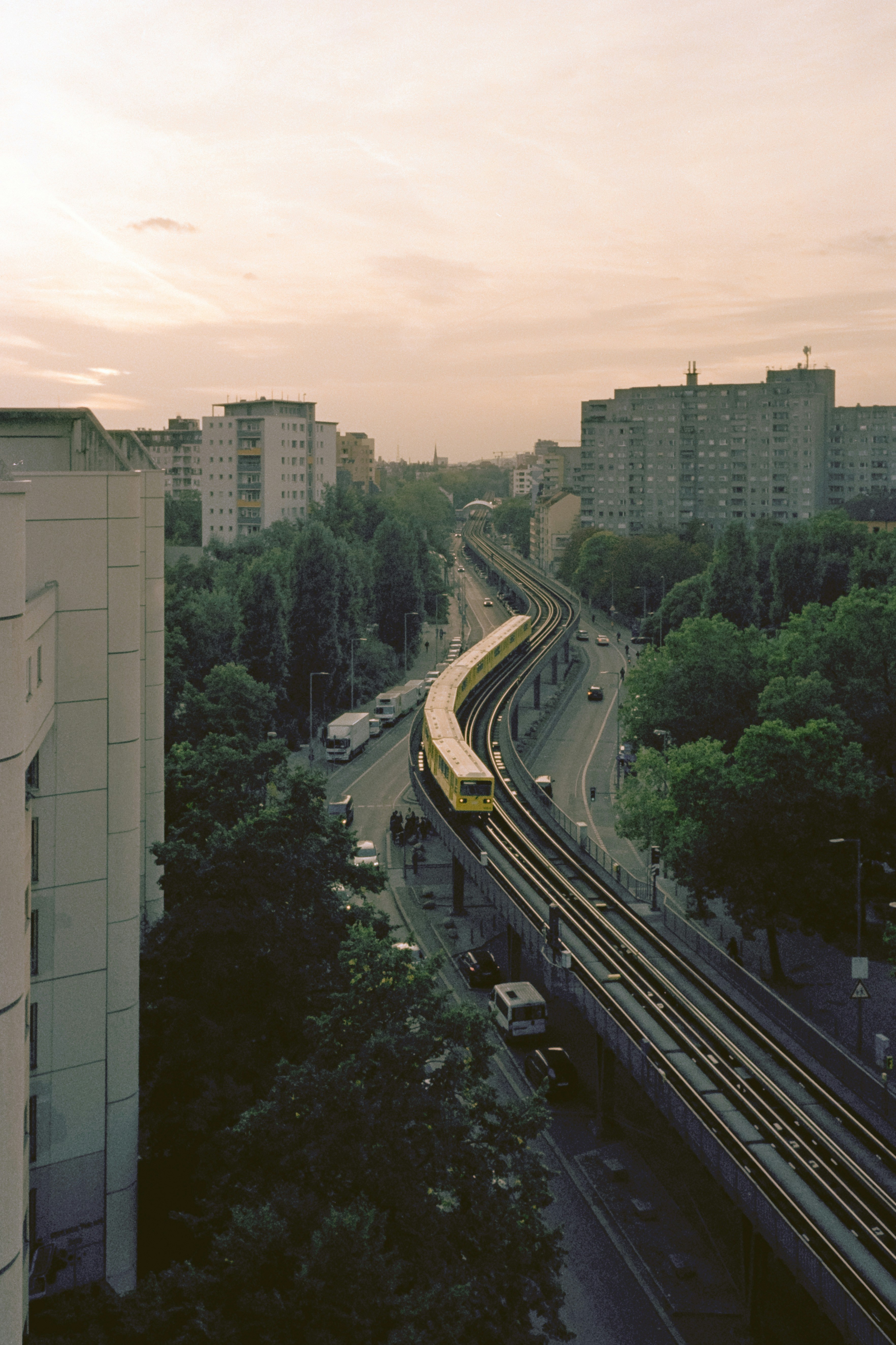 A yellow commuter train winds along elevated tracks through a tree-lined cityscape at dusk.
