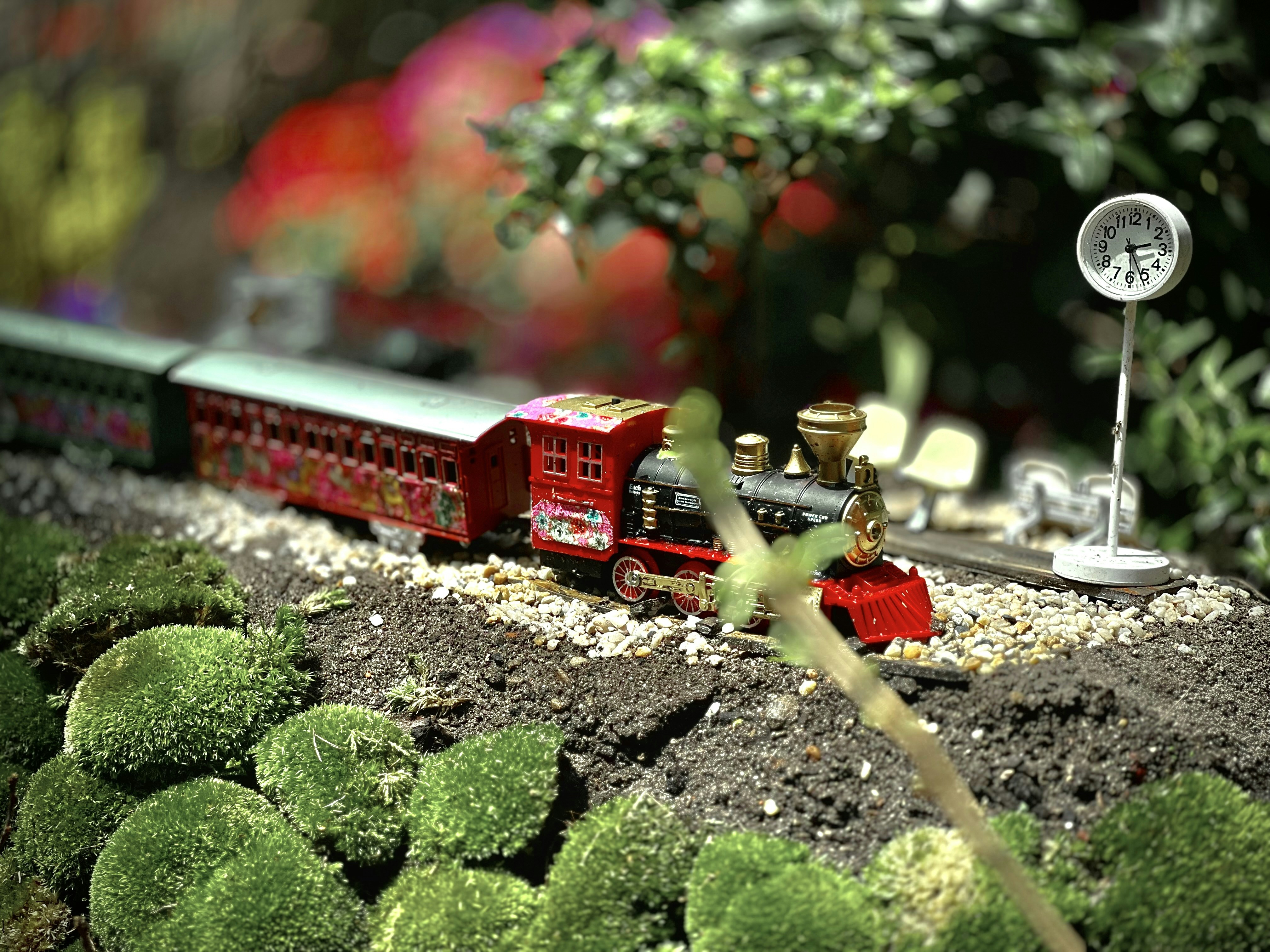 Tiny Locomotive in a Lush Garden