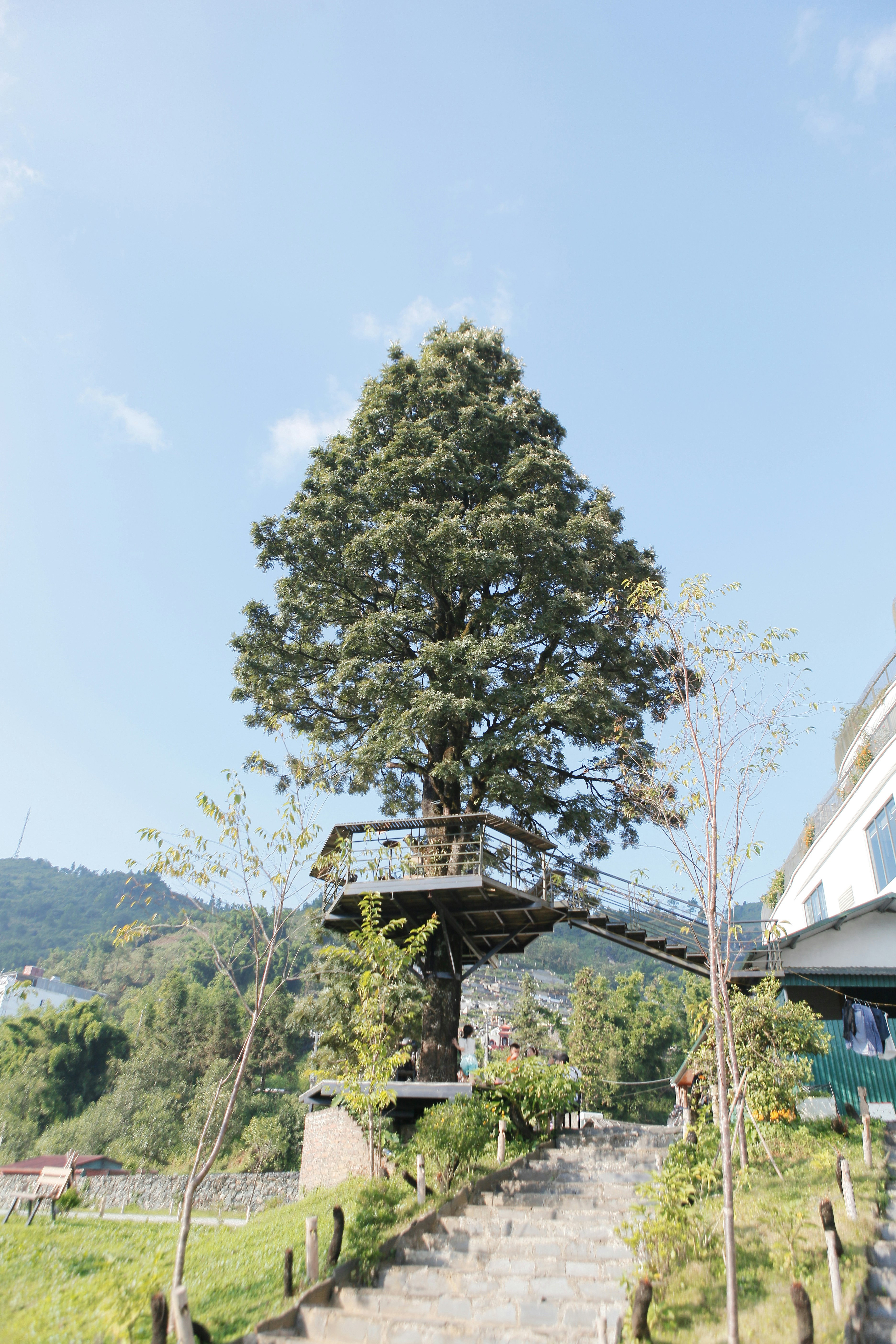 A tree house with a staircase leading up to it photo – Free Sapa ...