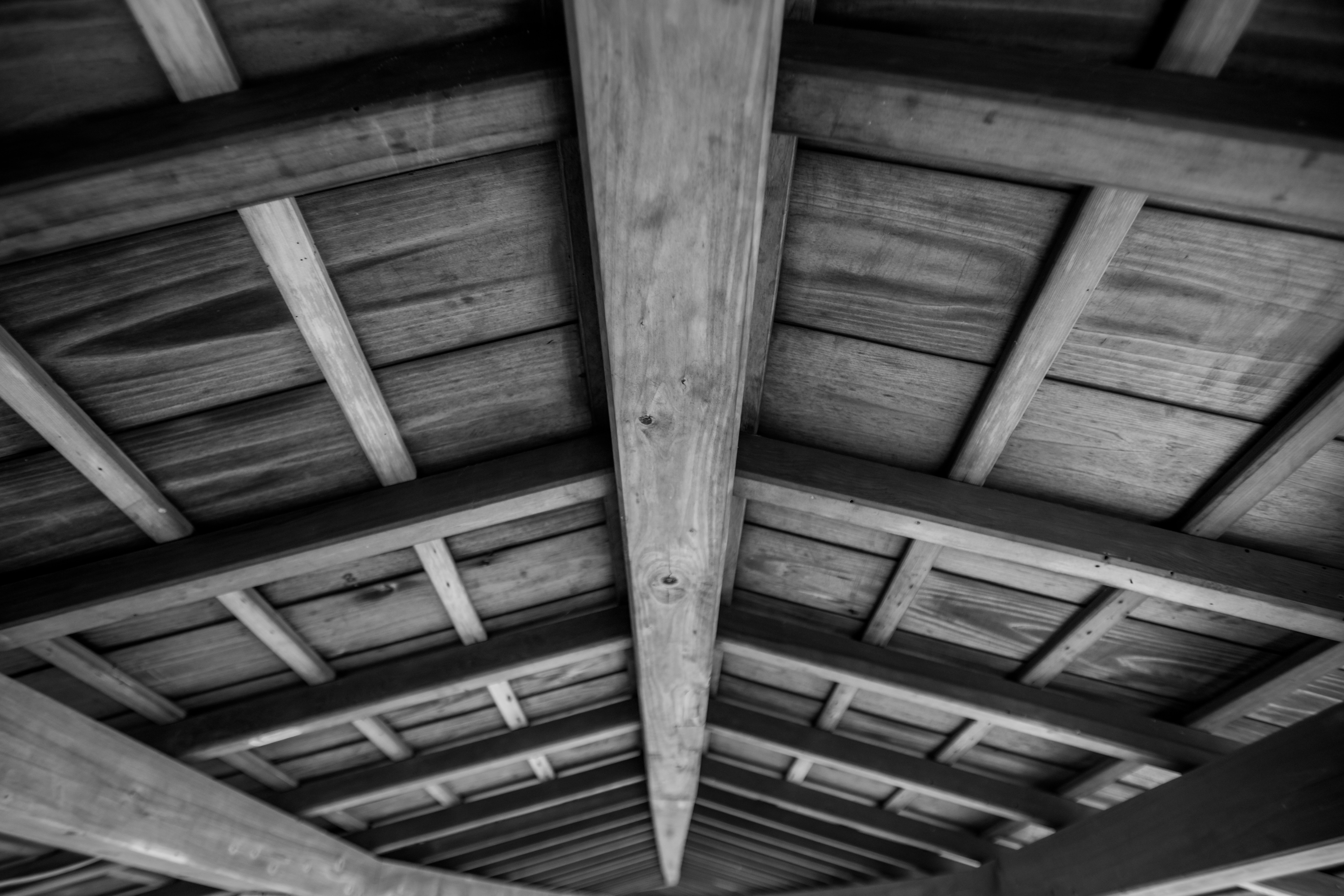 Photo by Bret Lama with Sony Alpha 7R IV