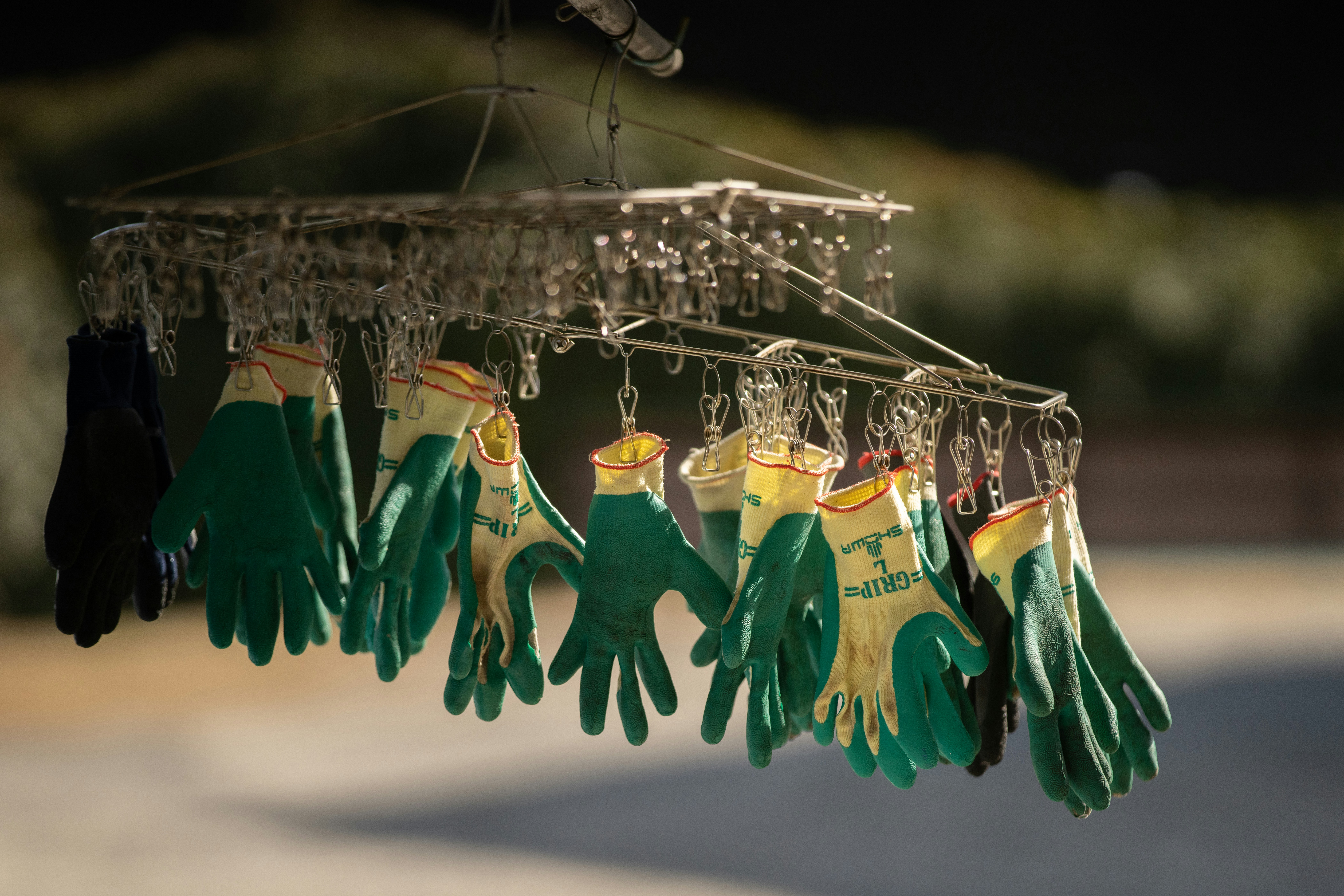 Sunlit Green Gloves: Quiet Geometry on a Hanging Rack