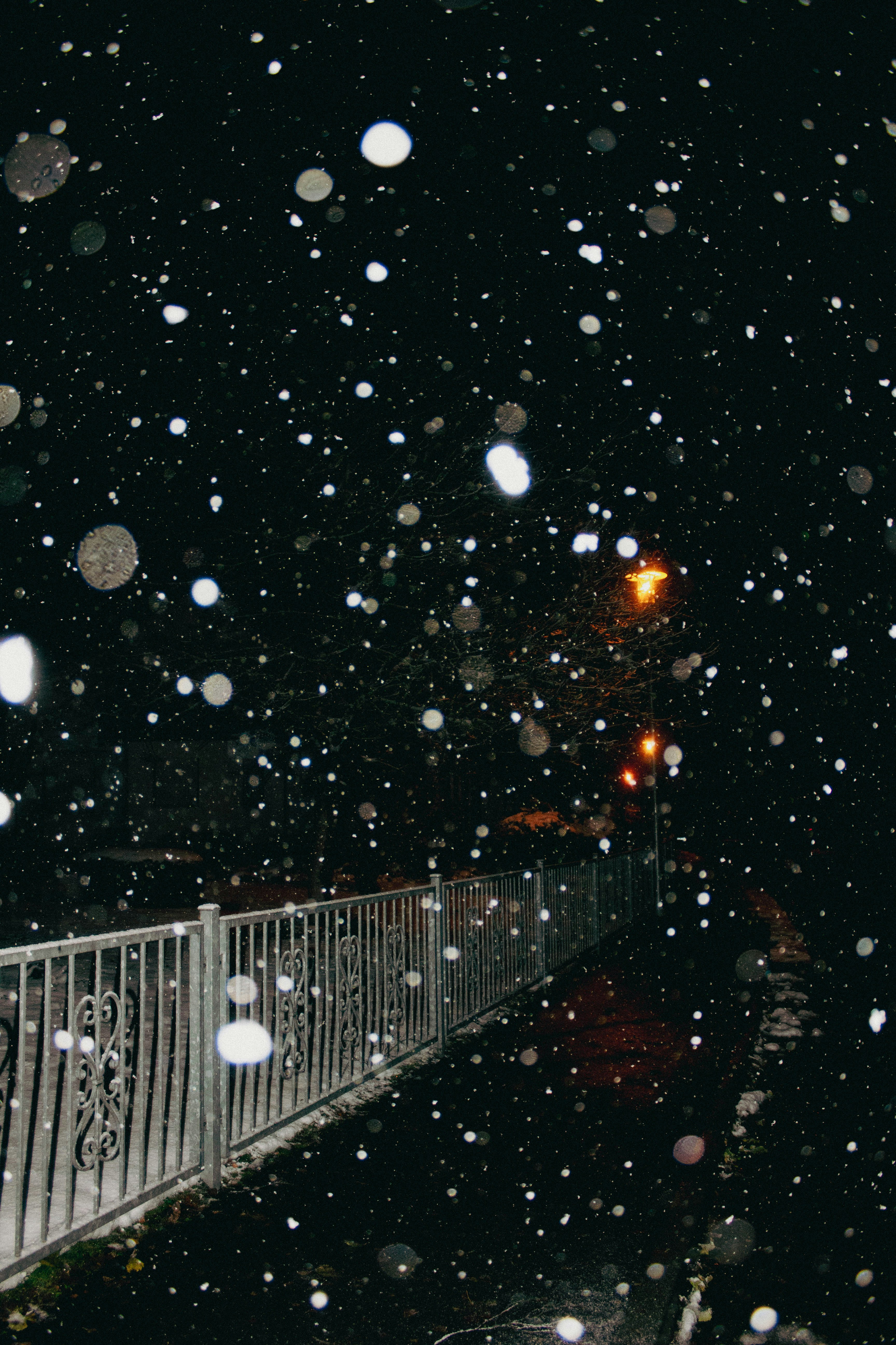 Benjamin Merkle (@benjaminmerkle) | Unsplash 사진 커뮤니티