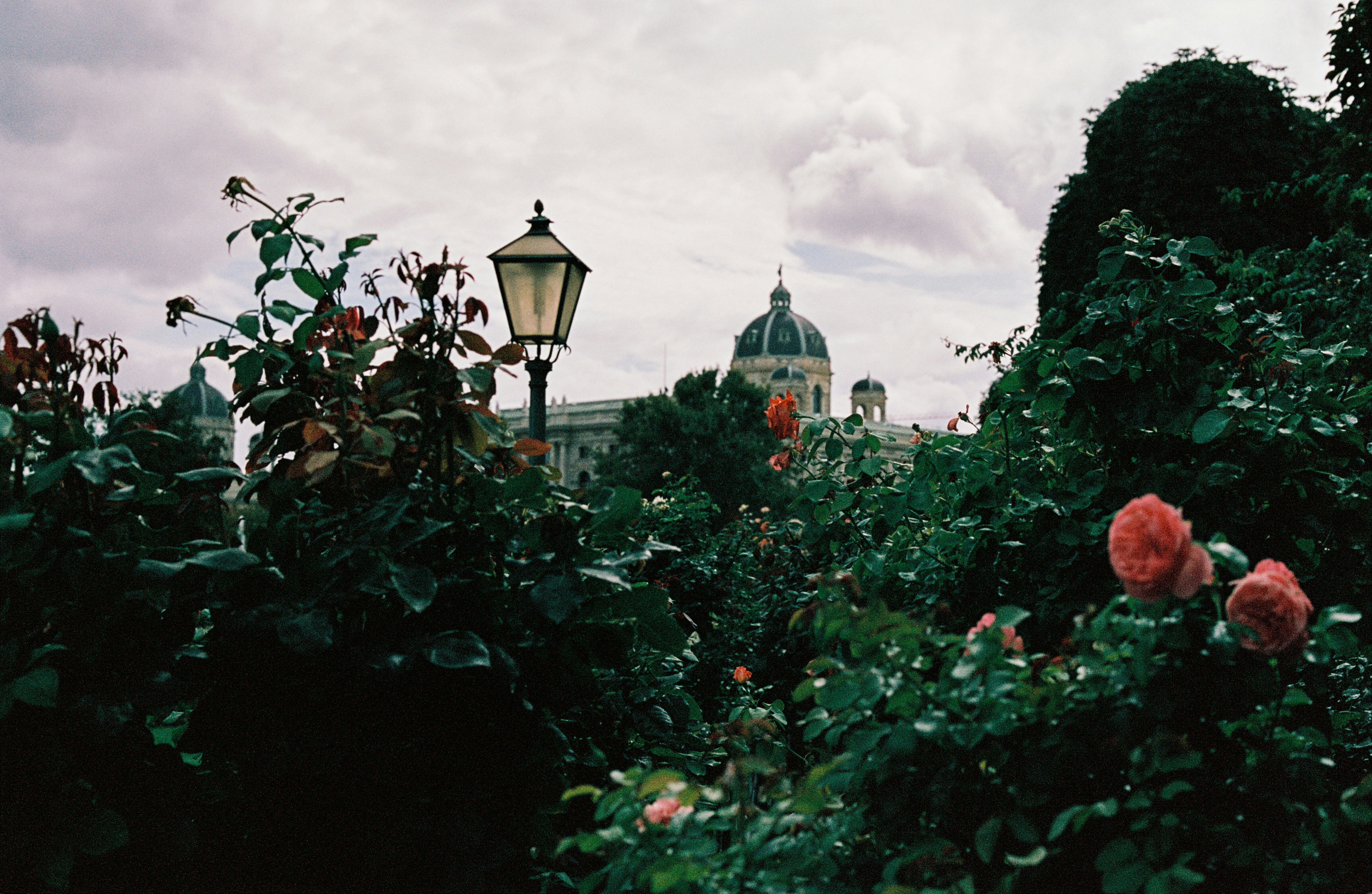 A view of a building through some bushes photo – Free Garden Image on ...