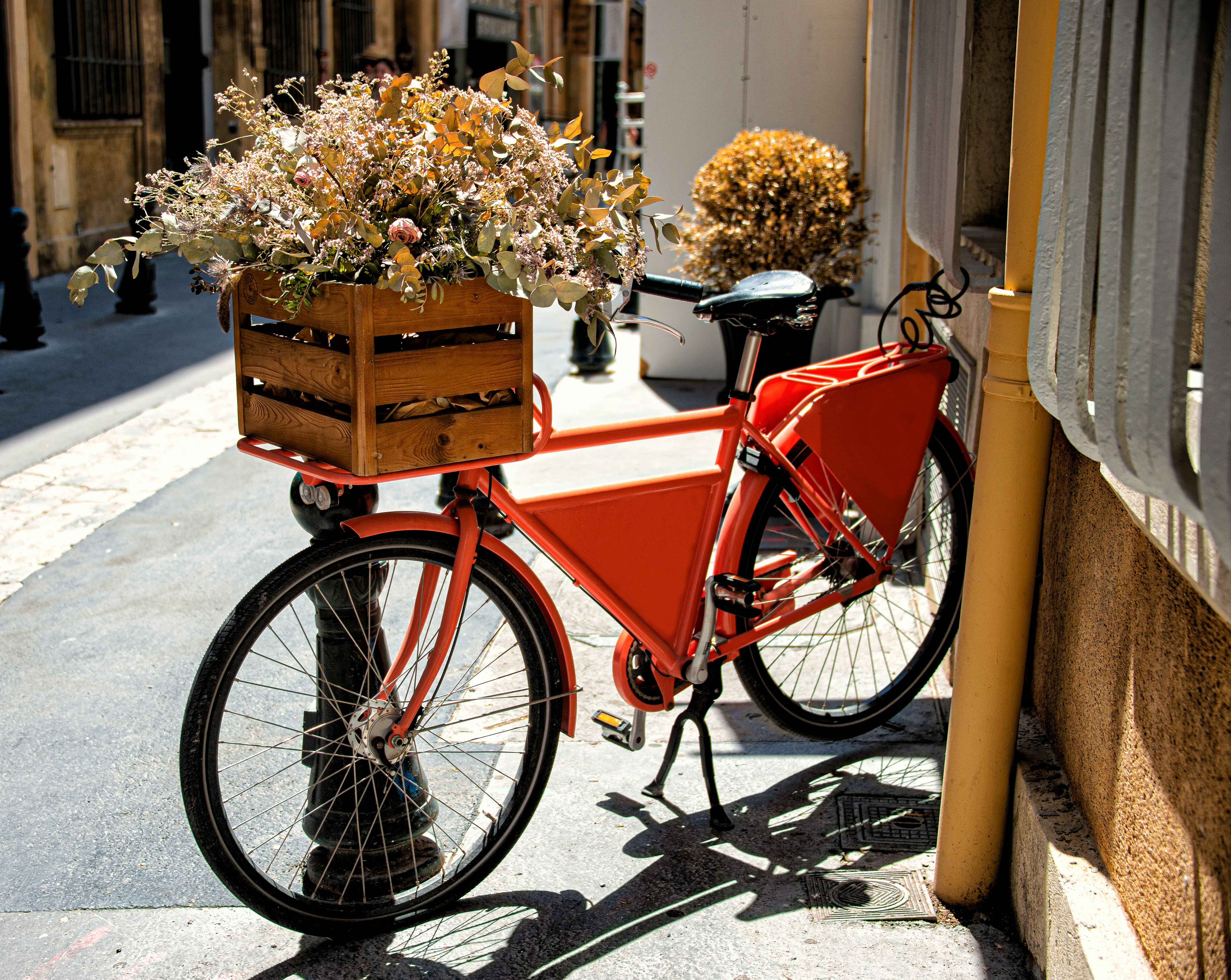 Sunlit Cargo Bicycle Brimming with Flowers in a Quiet City Lane