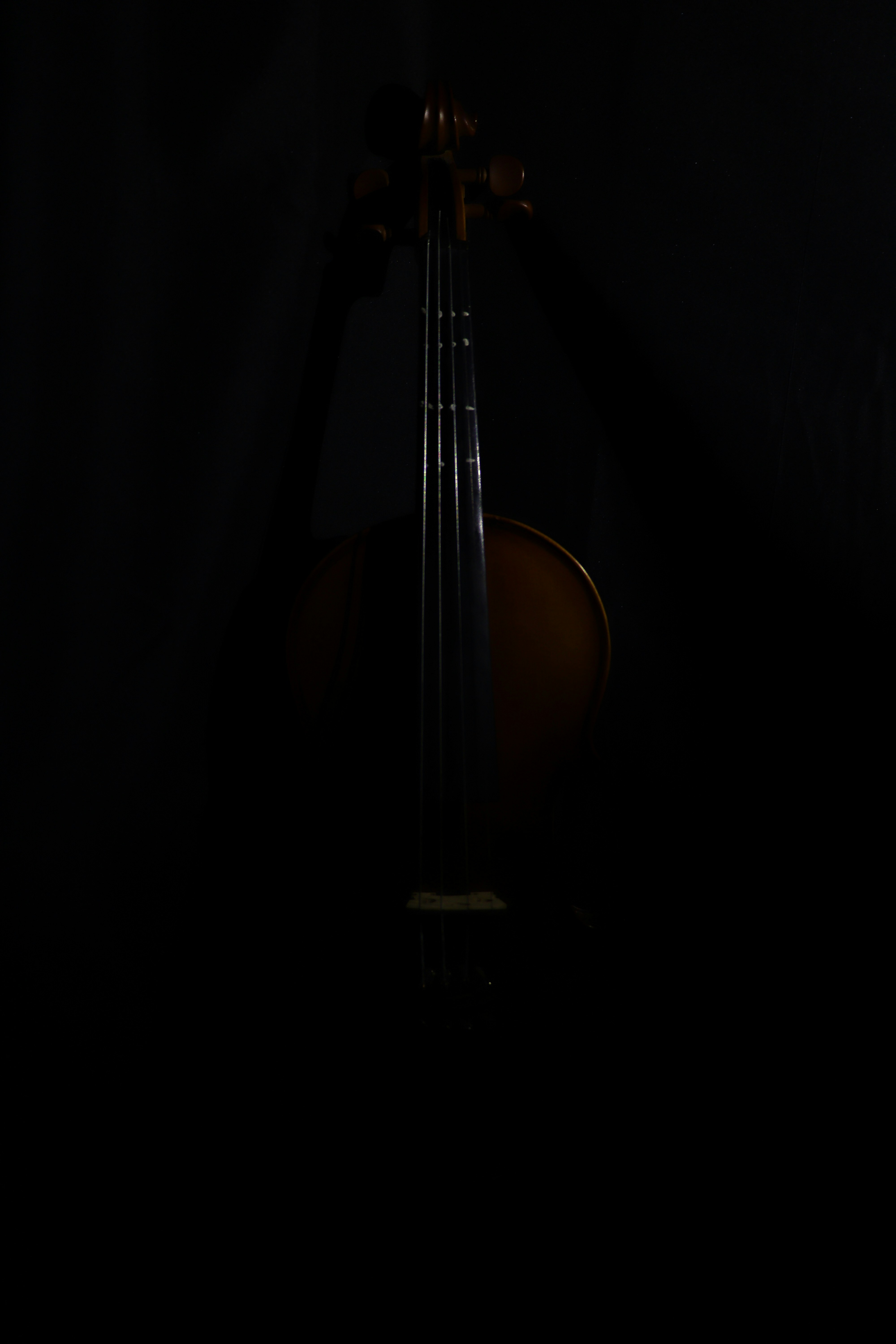 Photo by Lissette Morales with Canon EOS 250D