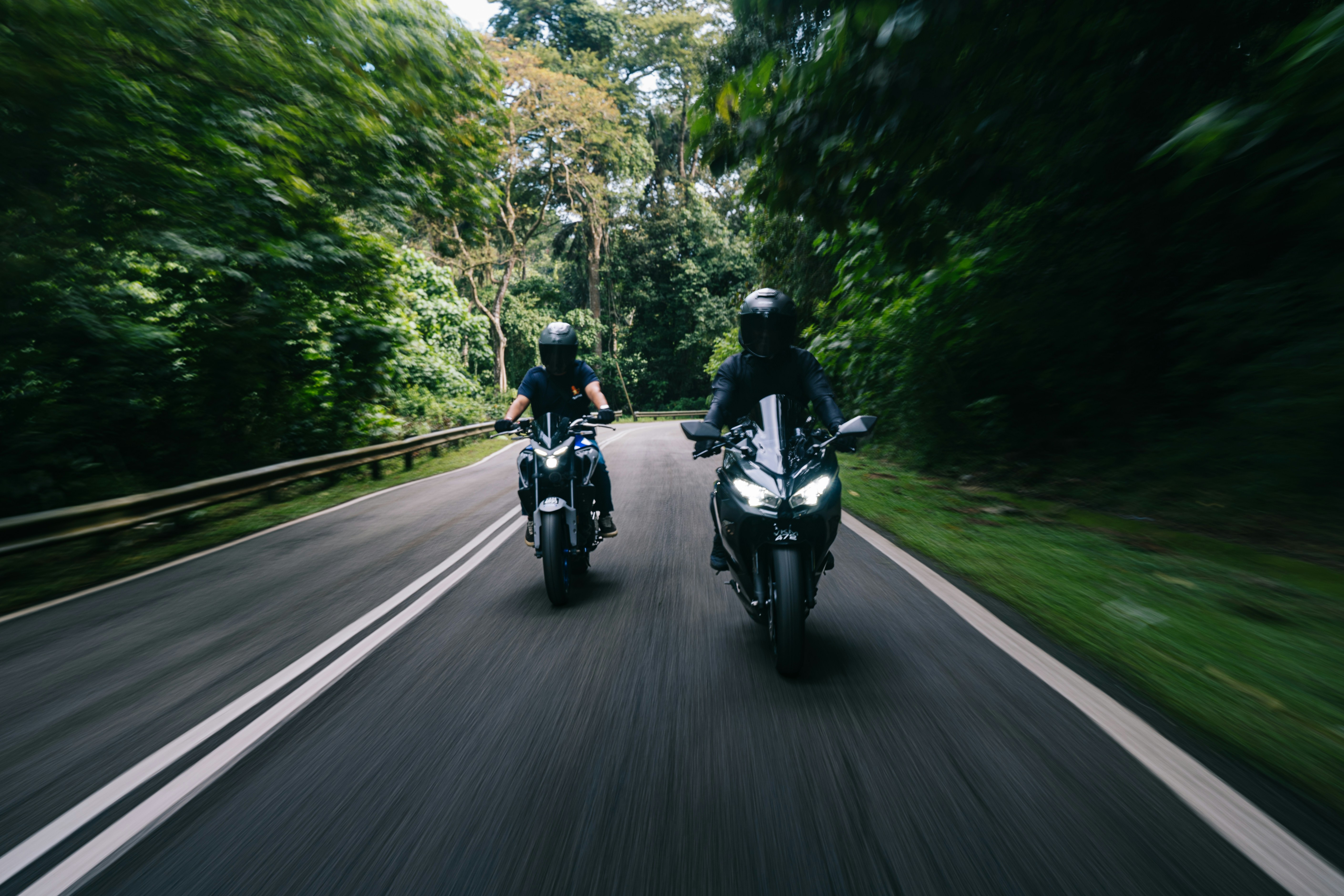 Two motorcyclists cruising down a forested road.