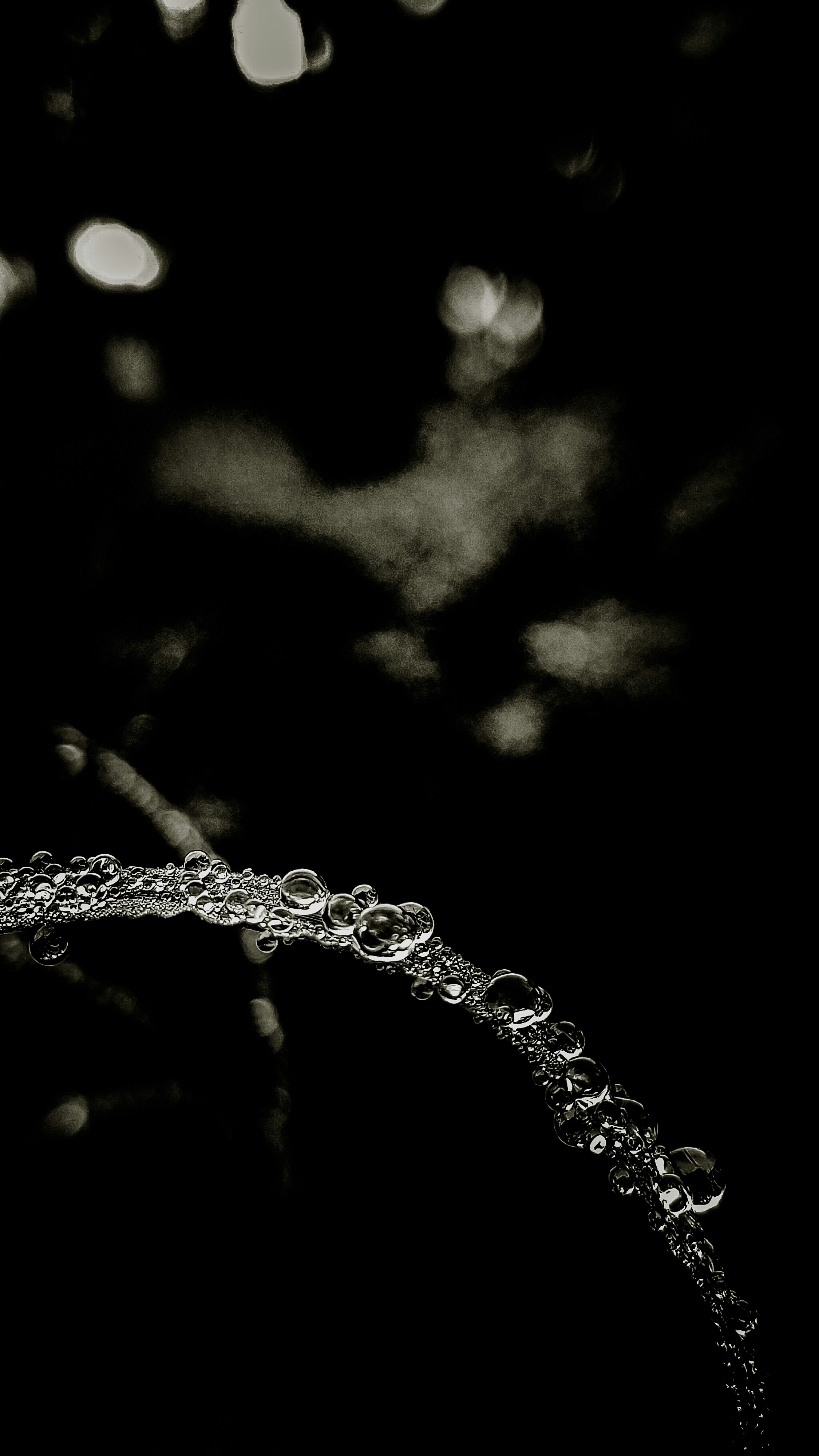Arc of Bubbles: Nighttime Stream of Light