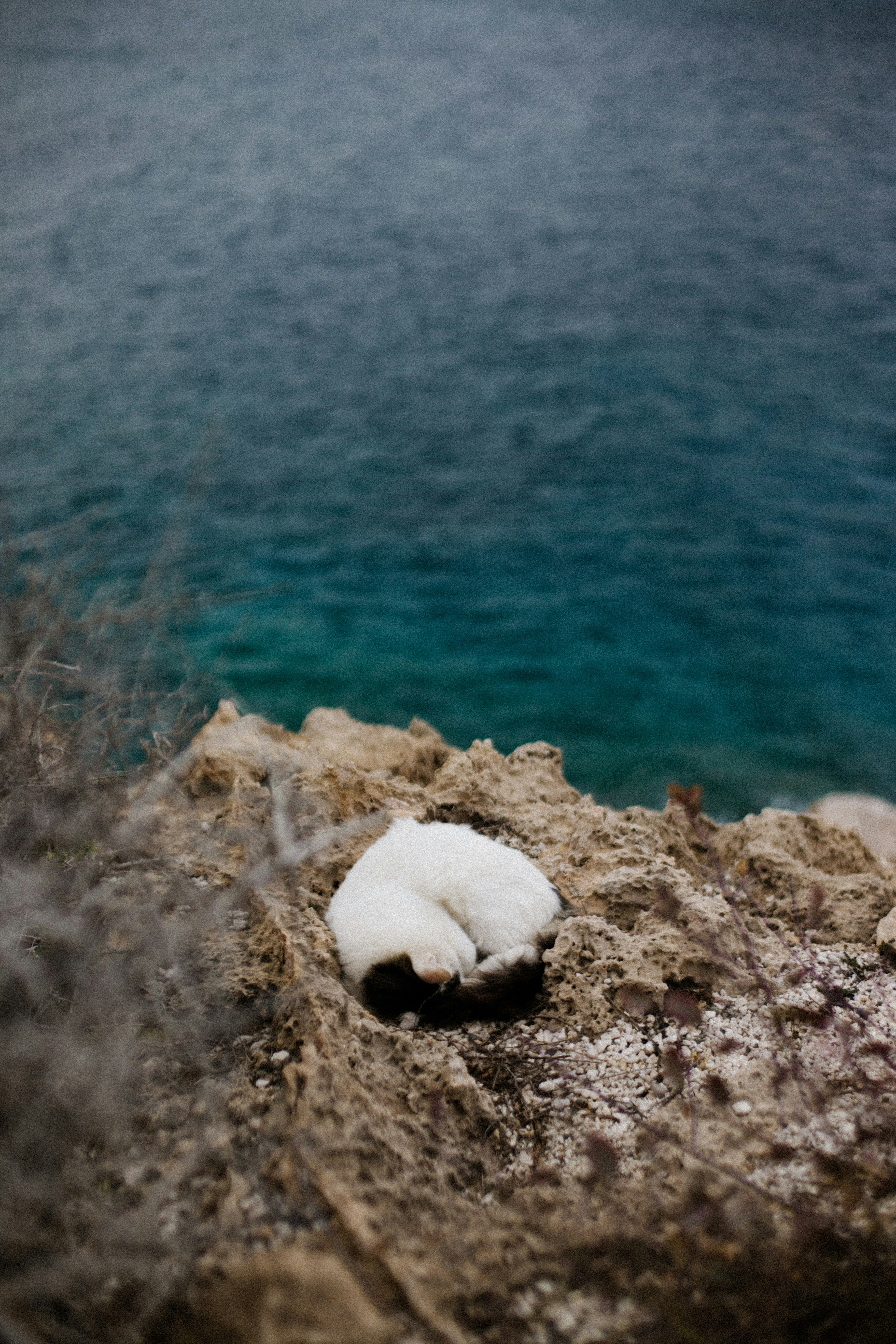 Photo by Klara Kulikova with Canon EOS 6D