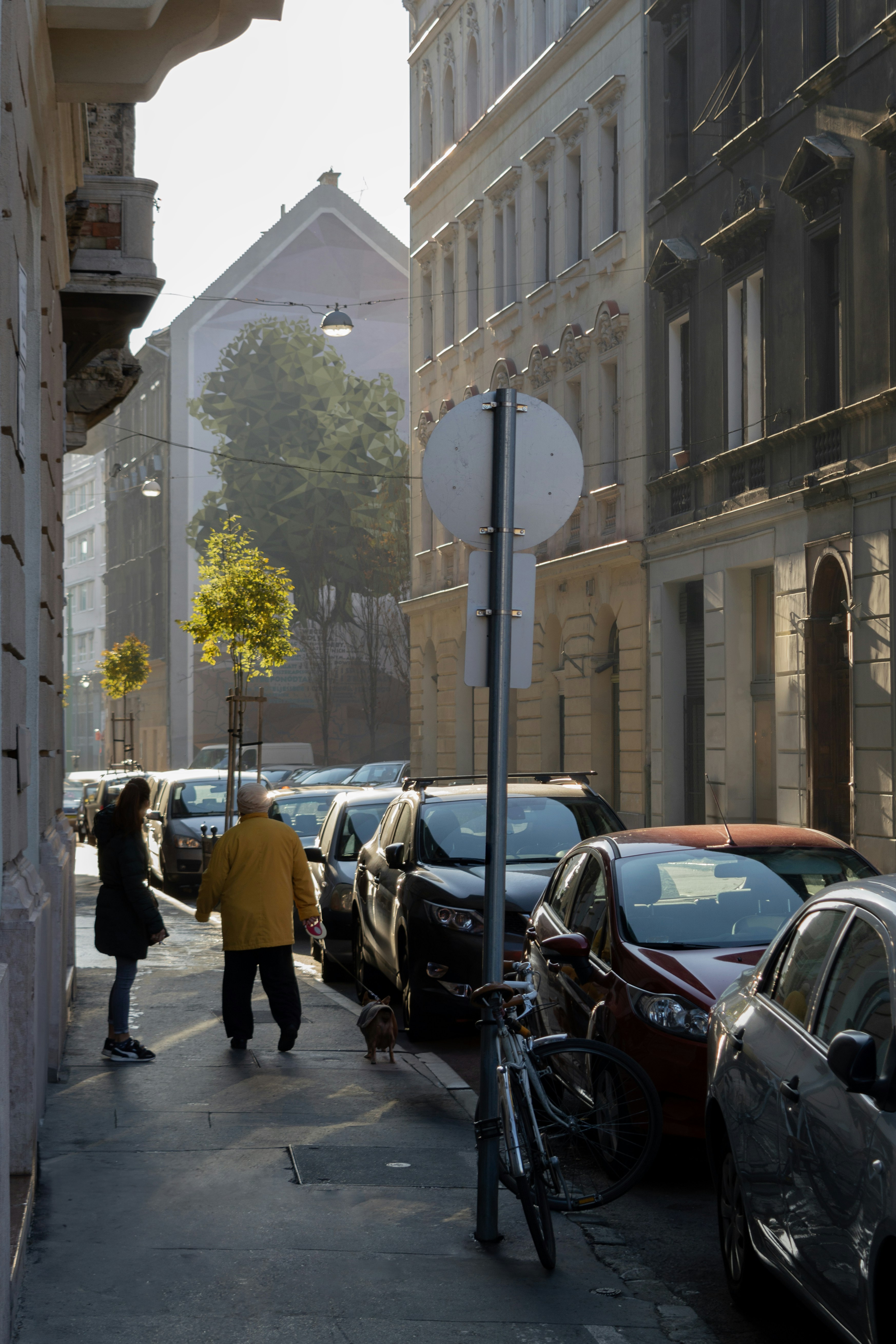 Sunlit Sidewalk Serenade: A Yellow-Jacketed Stroll with a Tiny City Dog