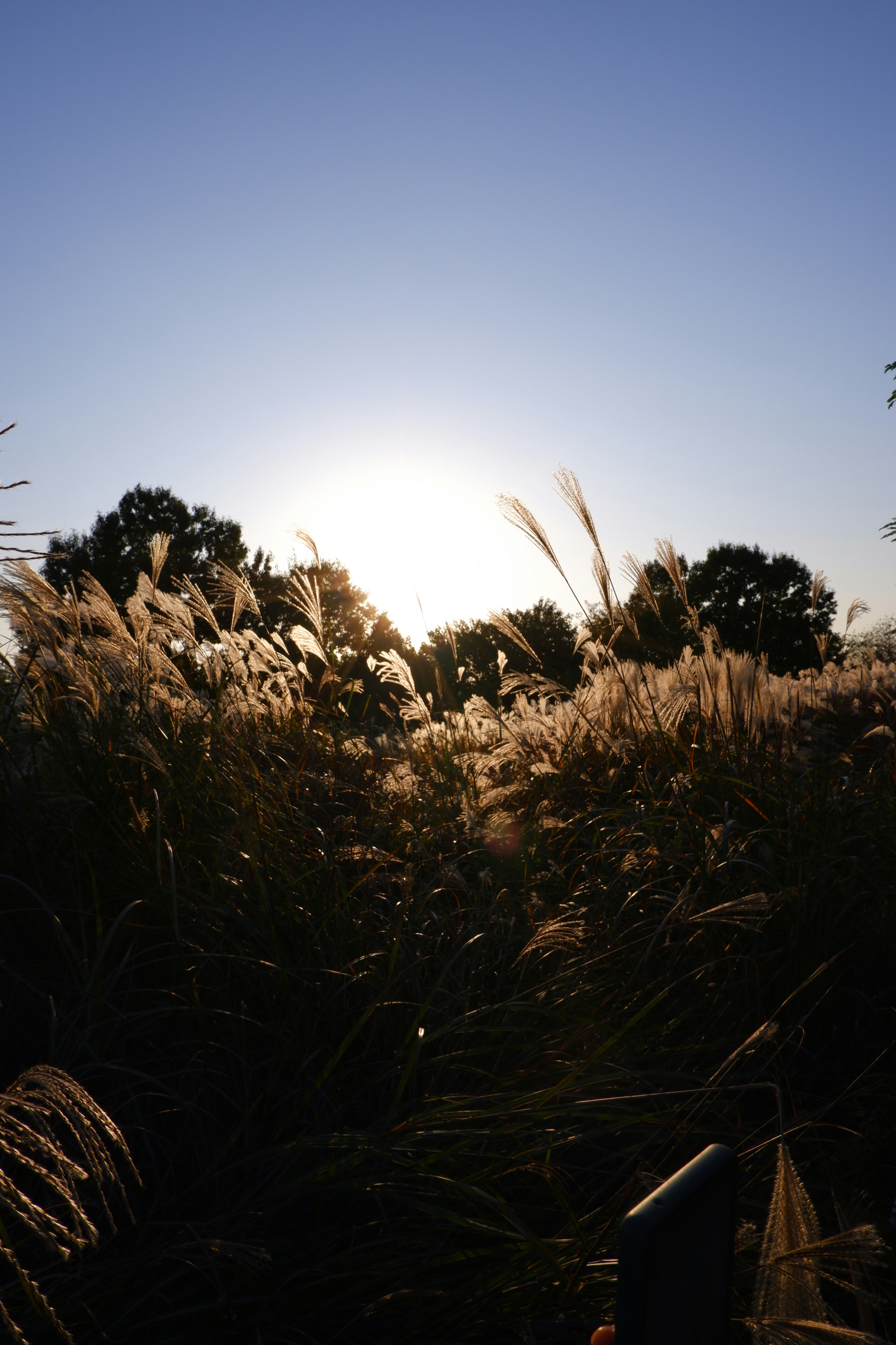 Photo by Gloria Babić with Fujifilm X-T100
