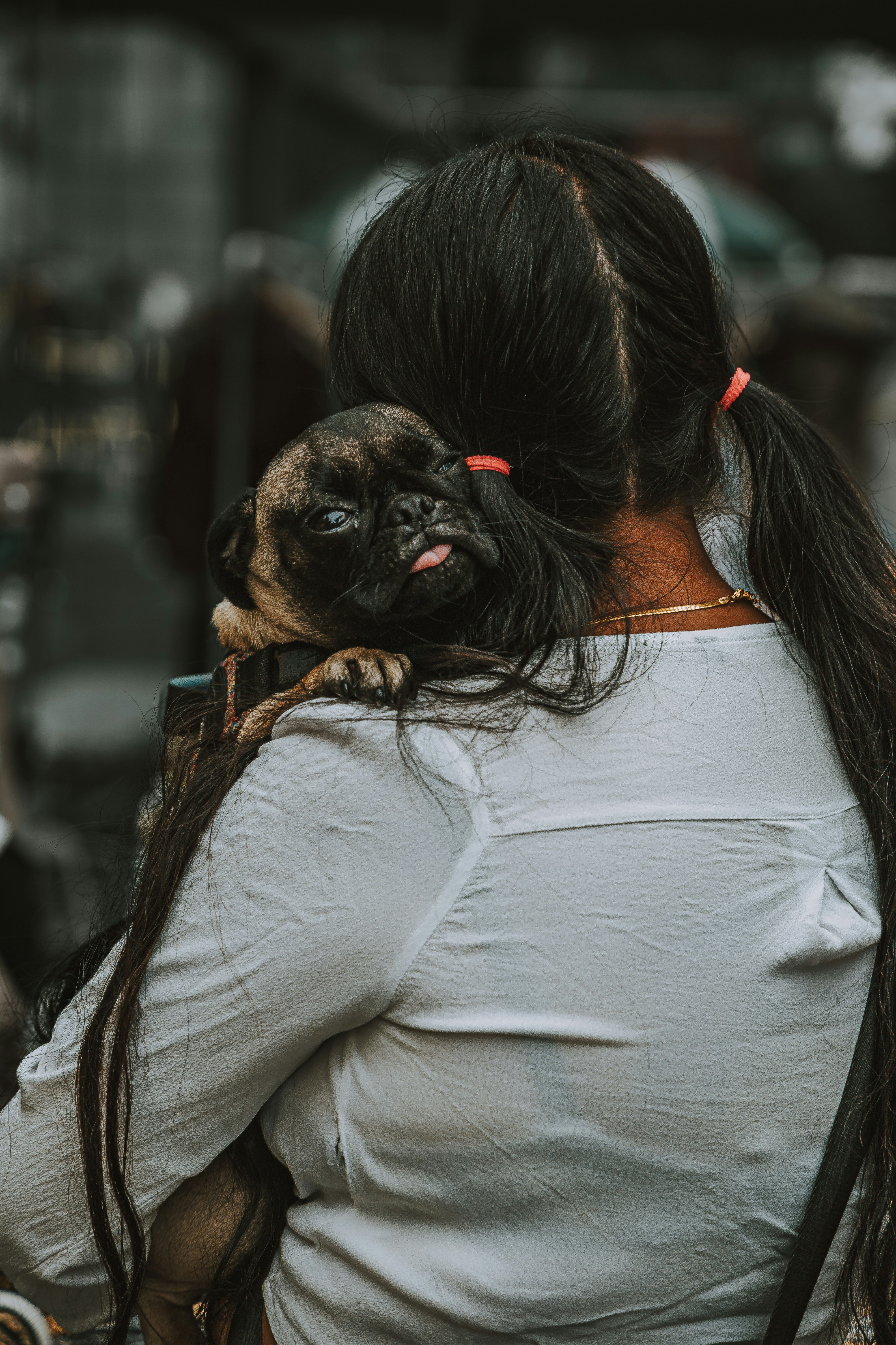 Embrace in Focus: A Hug Between Woman and Pup