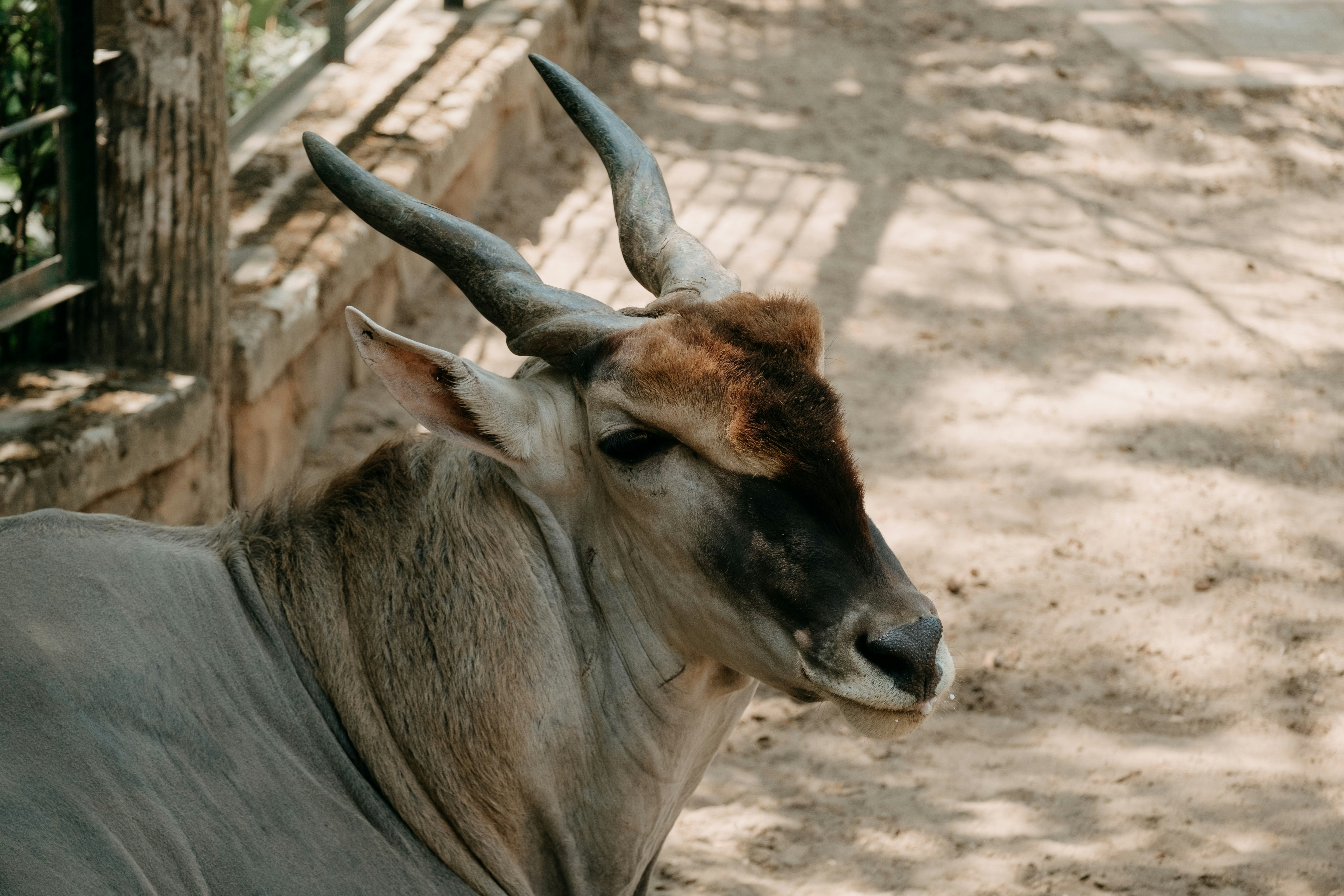 Photo by Kounotori with Fujifilm X-T3