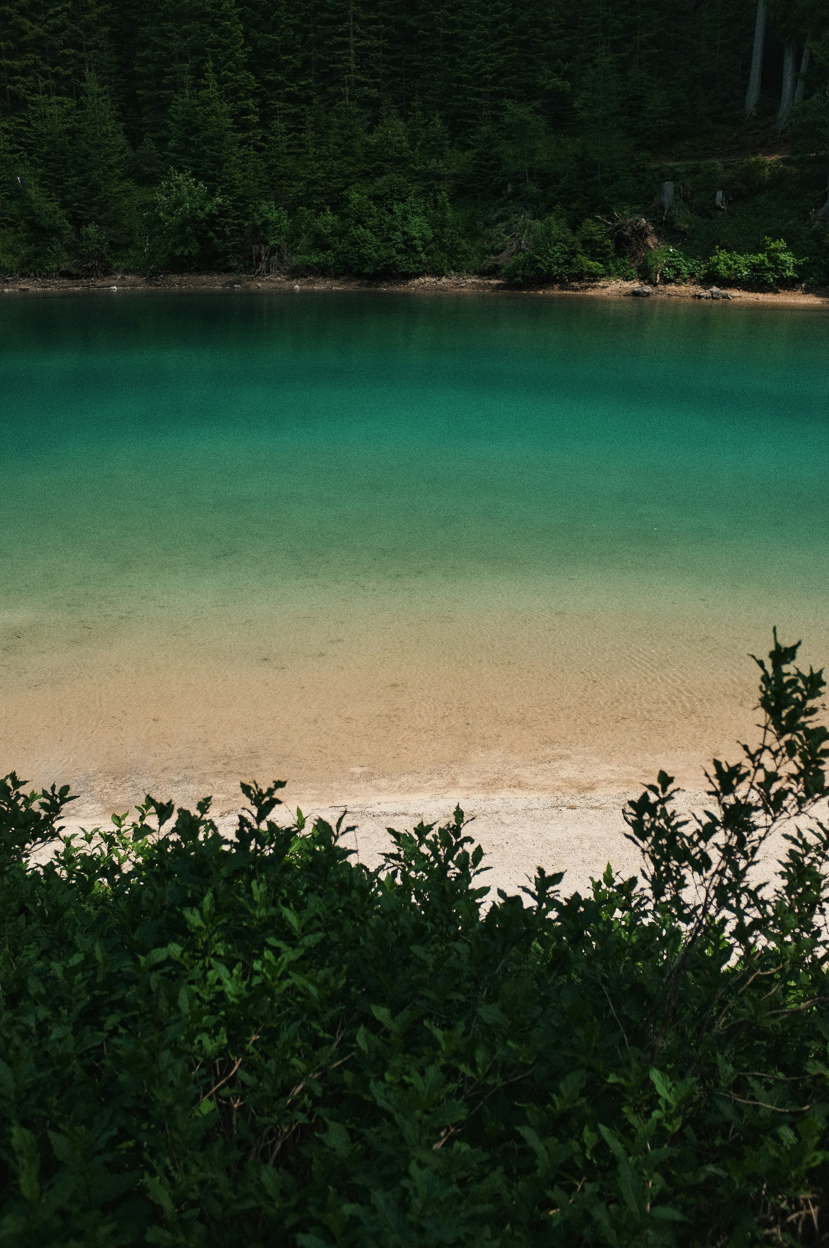 Turquoise Lake, Sandy Shoreline, and Forest Edge