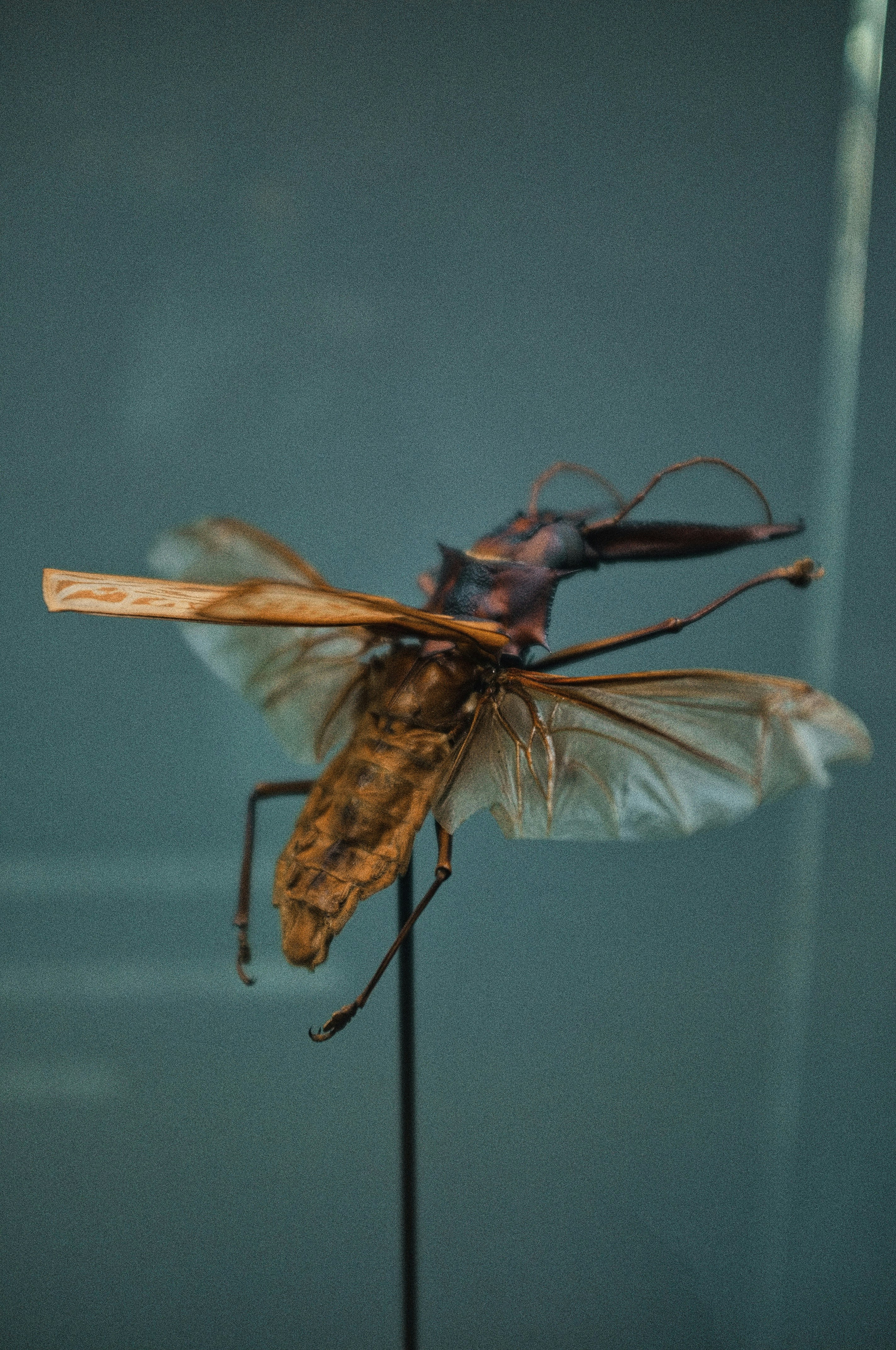 Photo by Dmitry Zmiy with Fujifilm X100