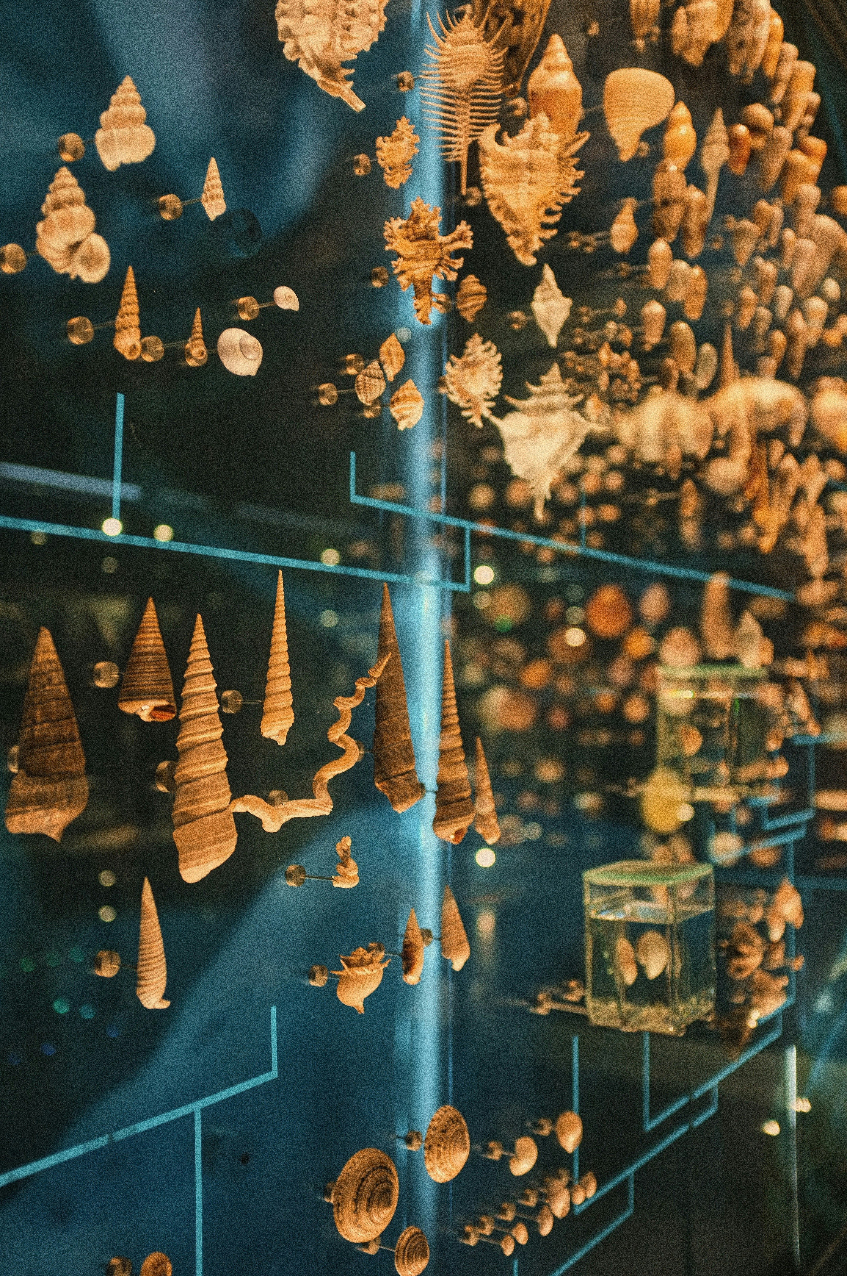 A display case filled with lots of different types of objects photo ...