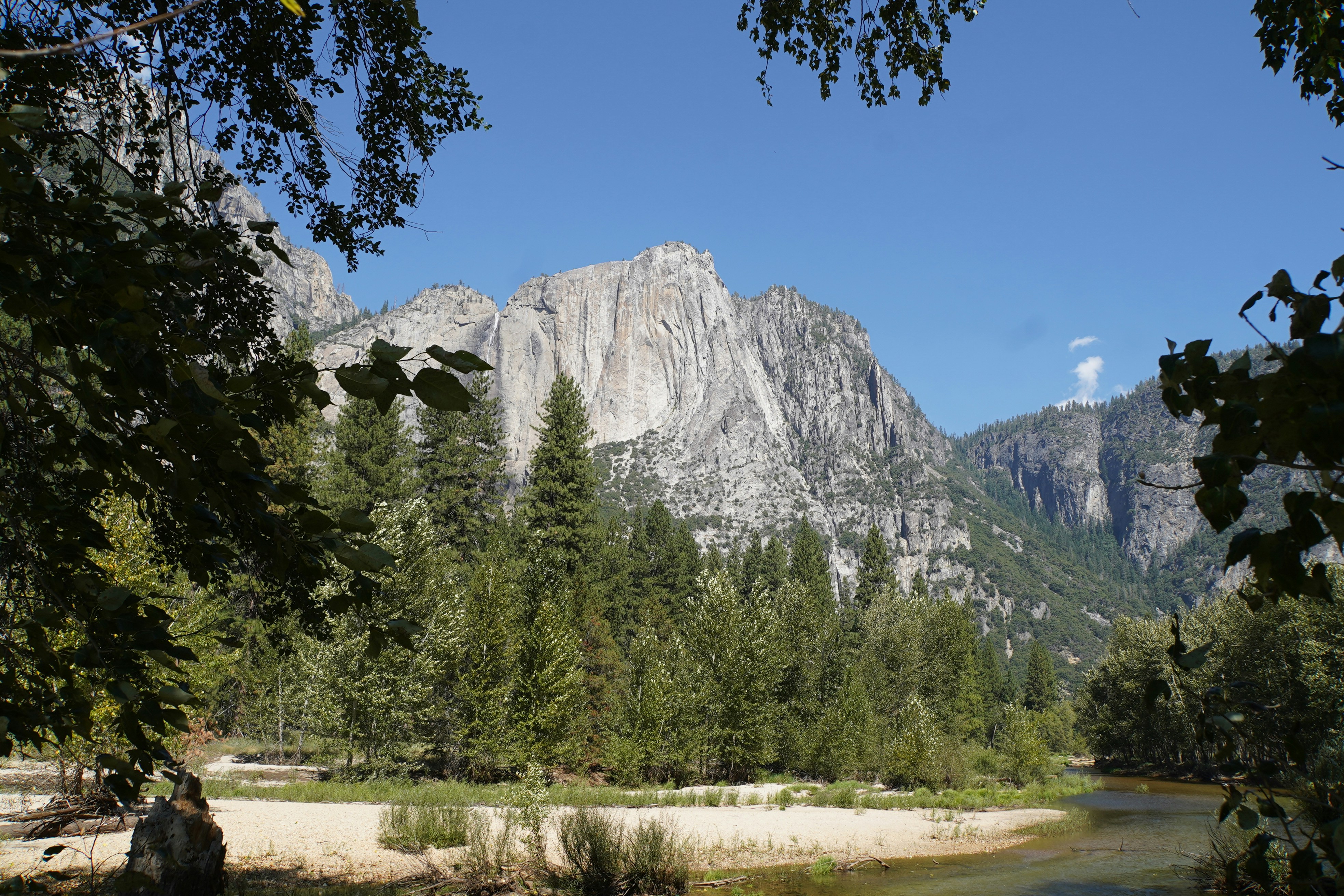 Granite Sentinel Over a Pine-Dusted Valley
