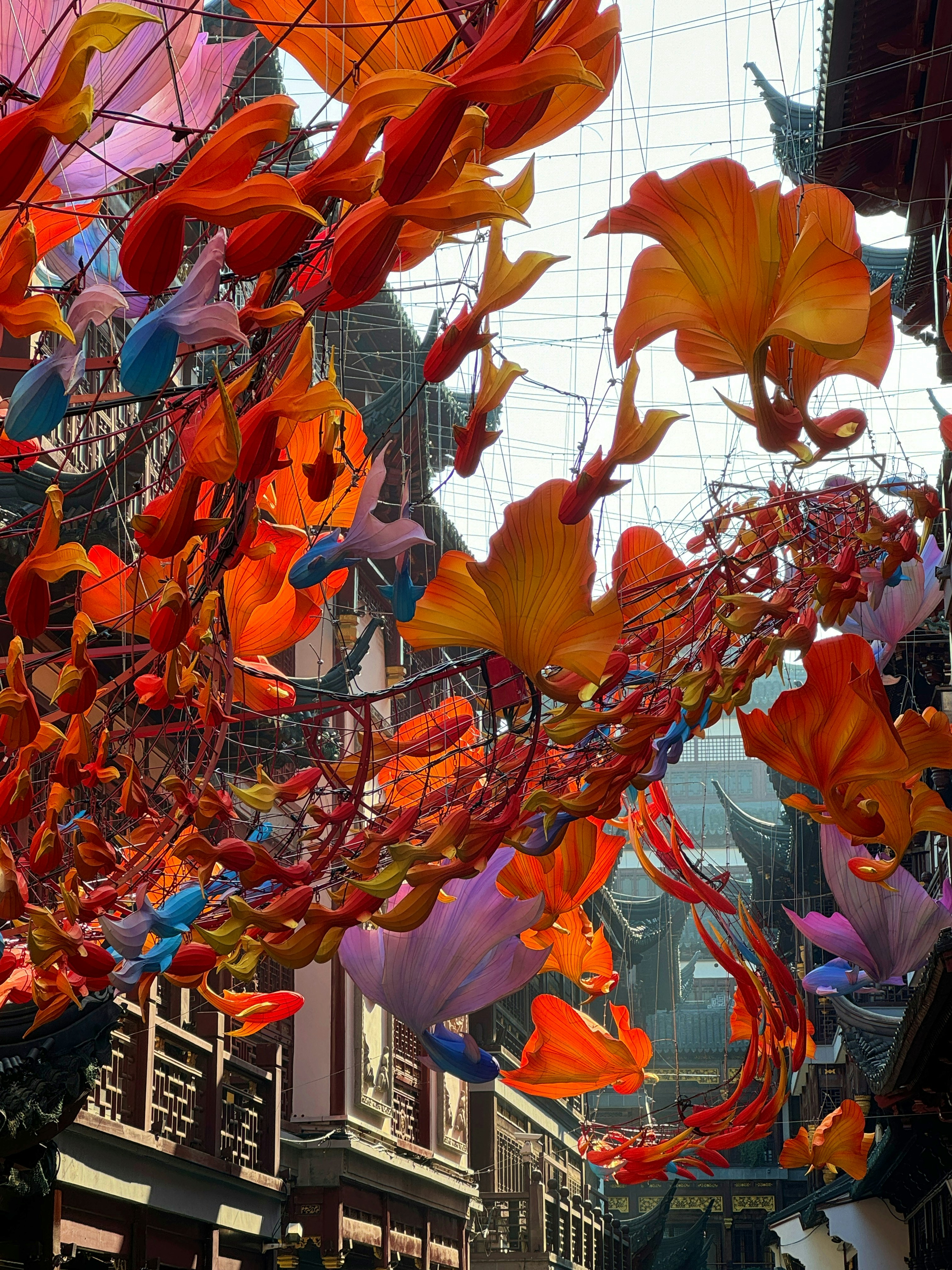Crimson Glass-Flower Canopy Over a Heritage Alley