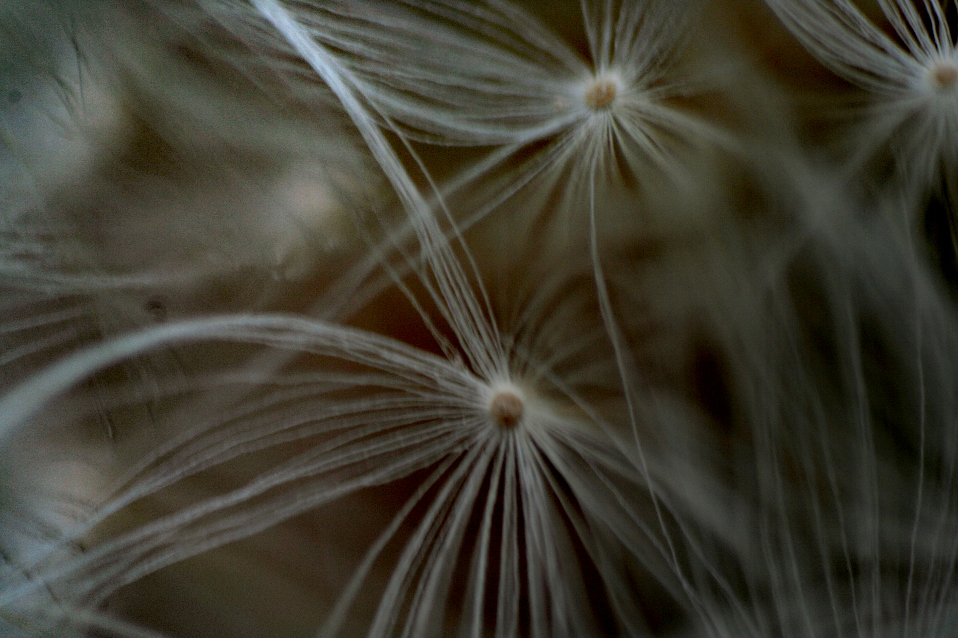 Photo by Gerard Cos with Canon EOS 400D