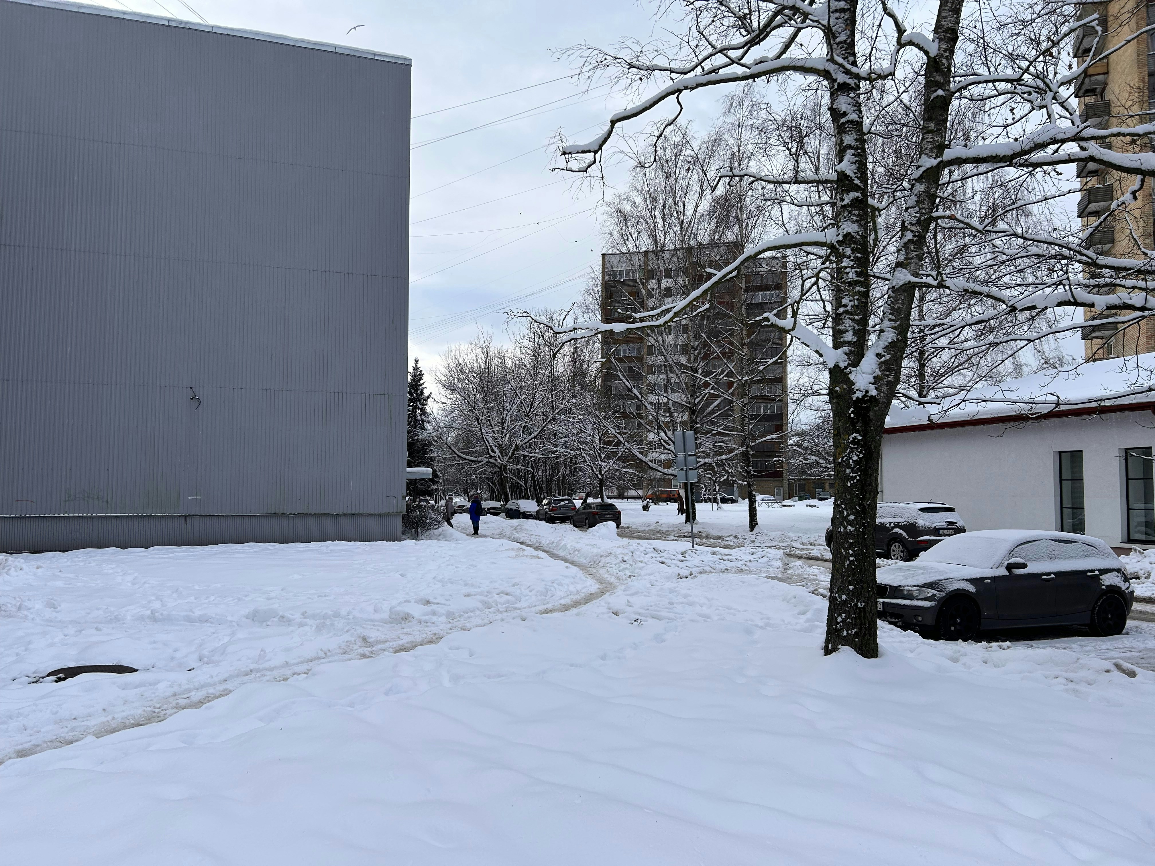 Sample photo from Apple iPhone 14