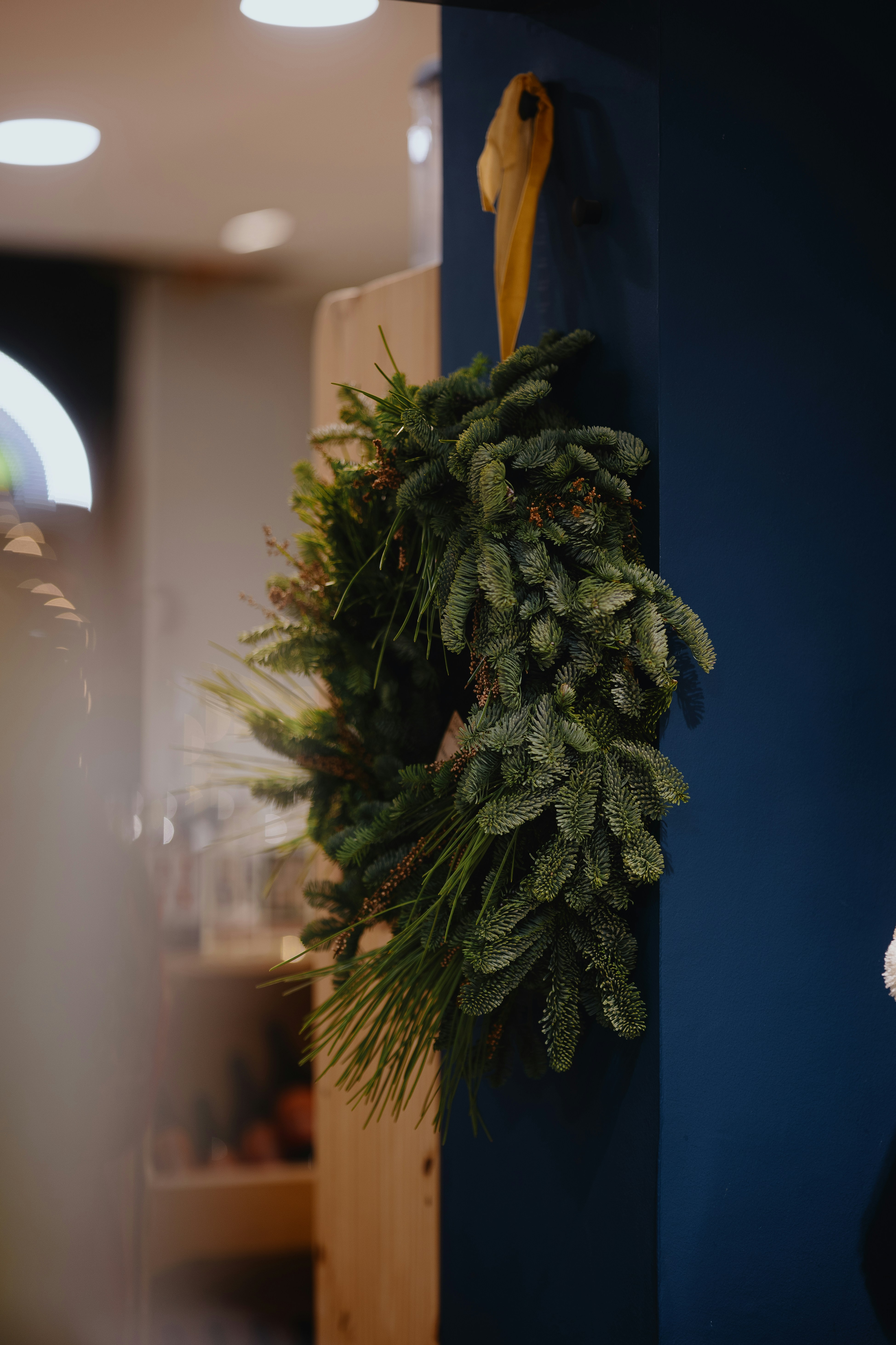 Cobalt Backdrop, Pine Garland in Quiet Indoor Glow