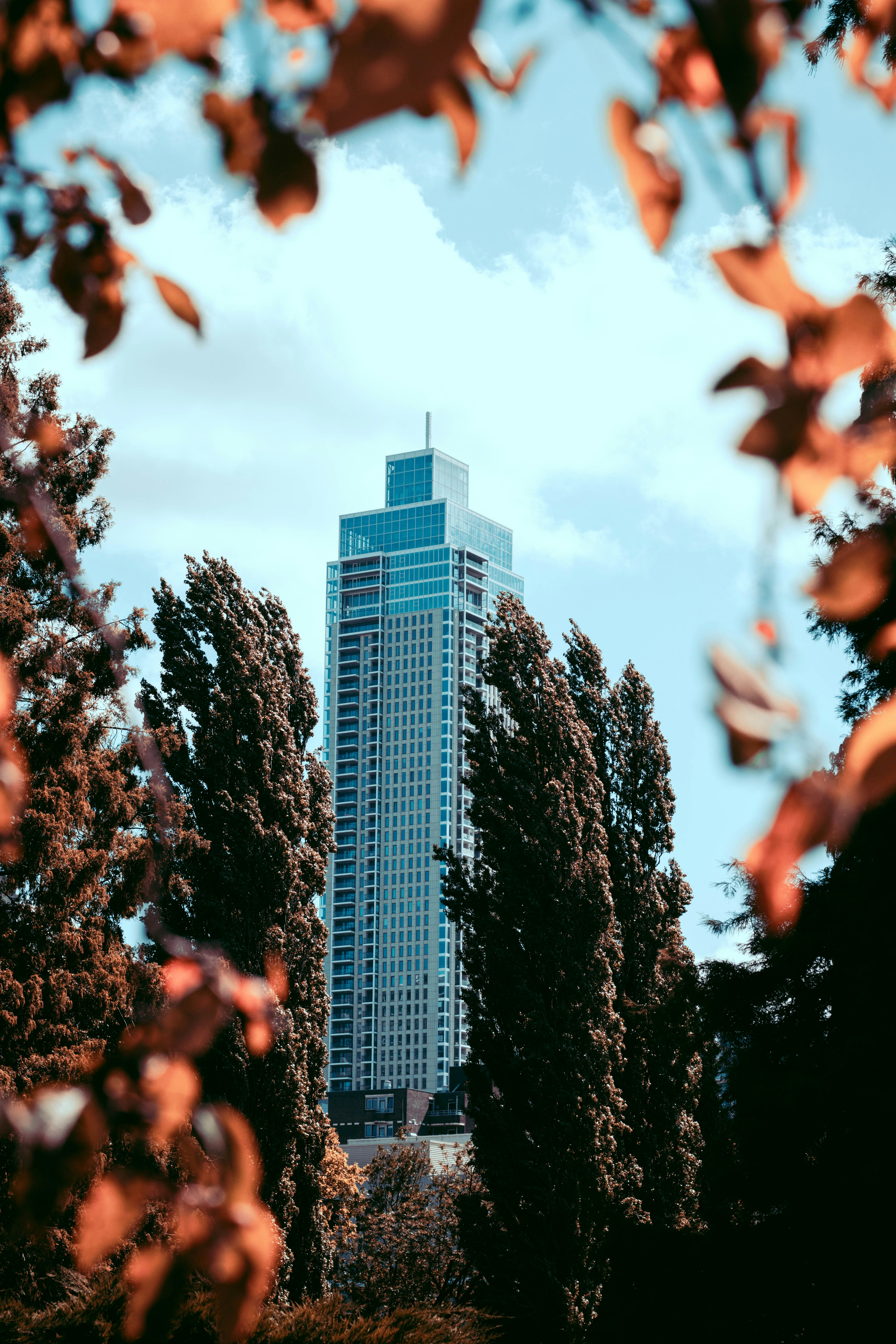 Crimson Framing: A Glass Tower Rises Through an Autumn Canopy