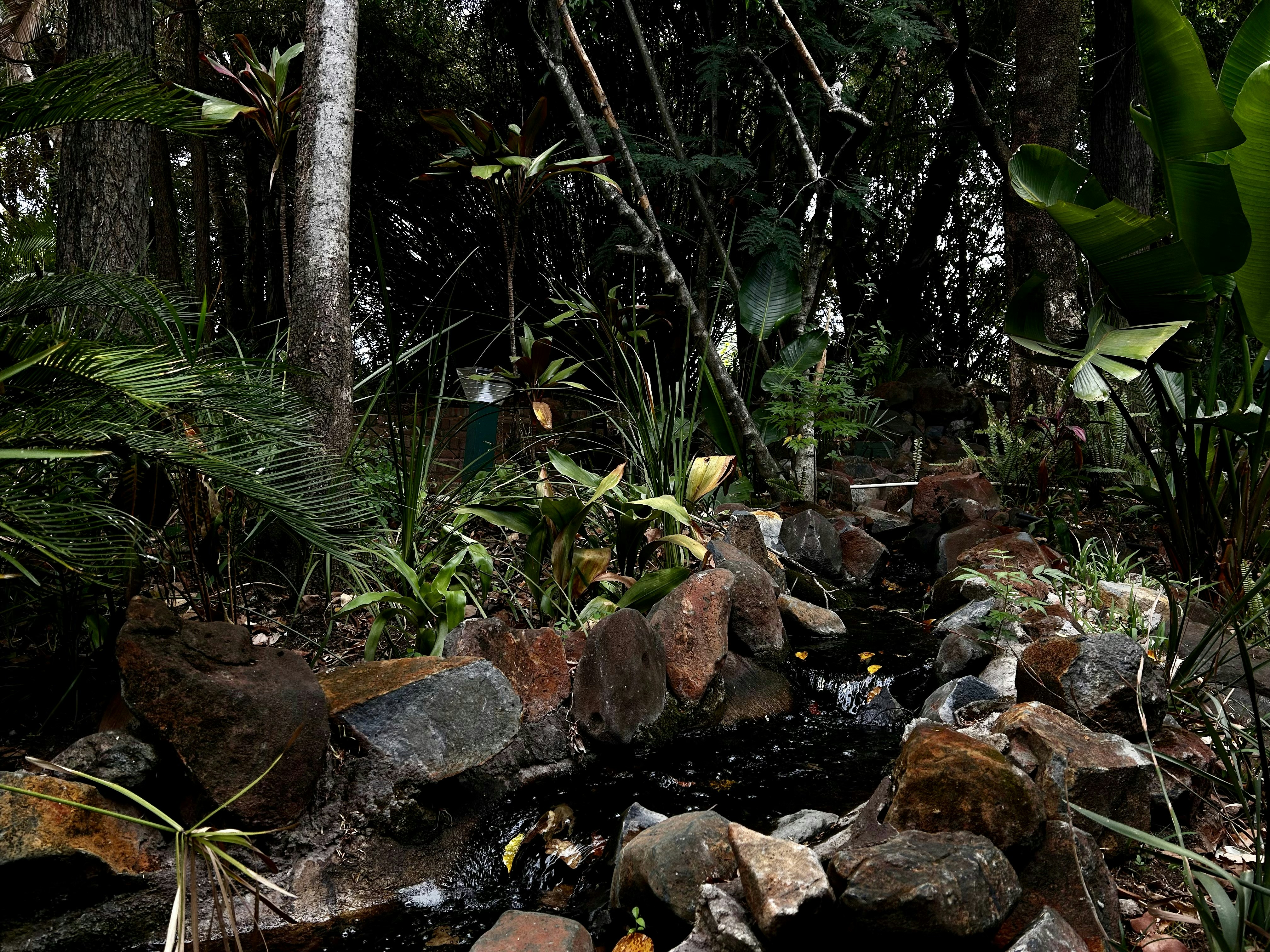 Stone Border Oasis Beneath Dense Foliage