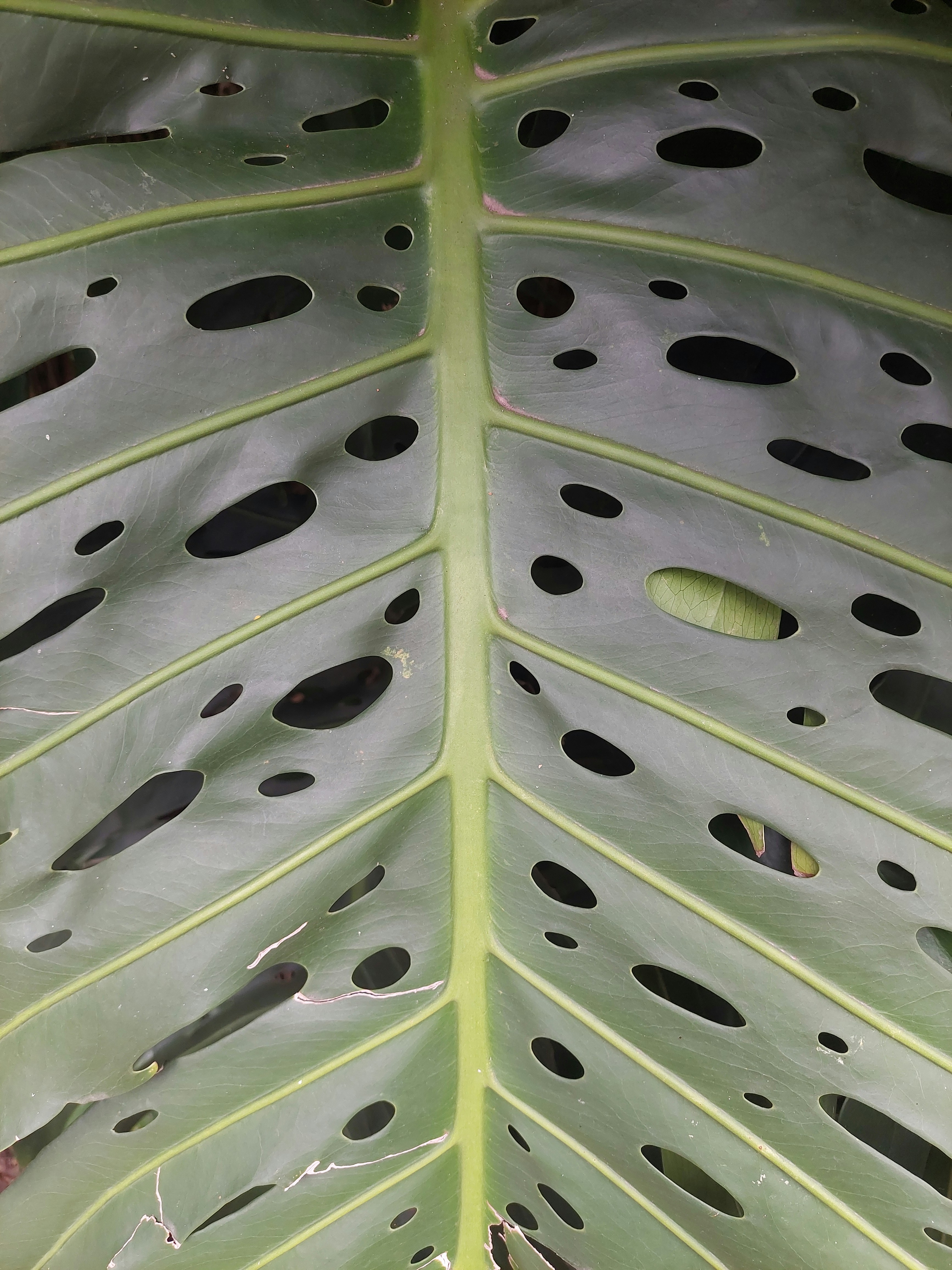 Photo by Paulo Quintão with Samsung Galaxy A72