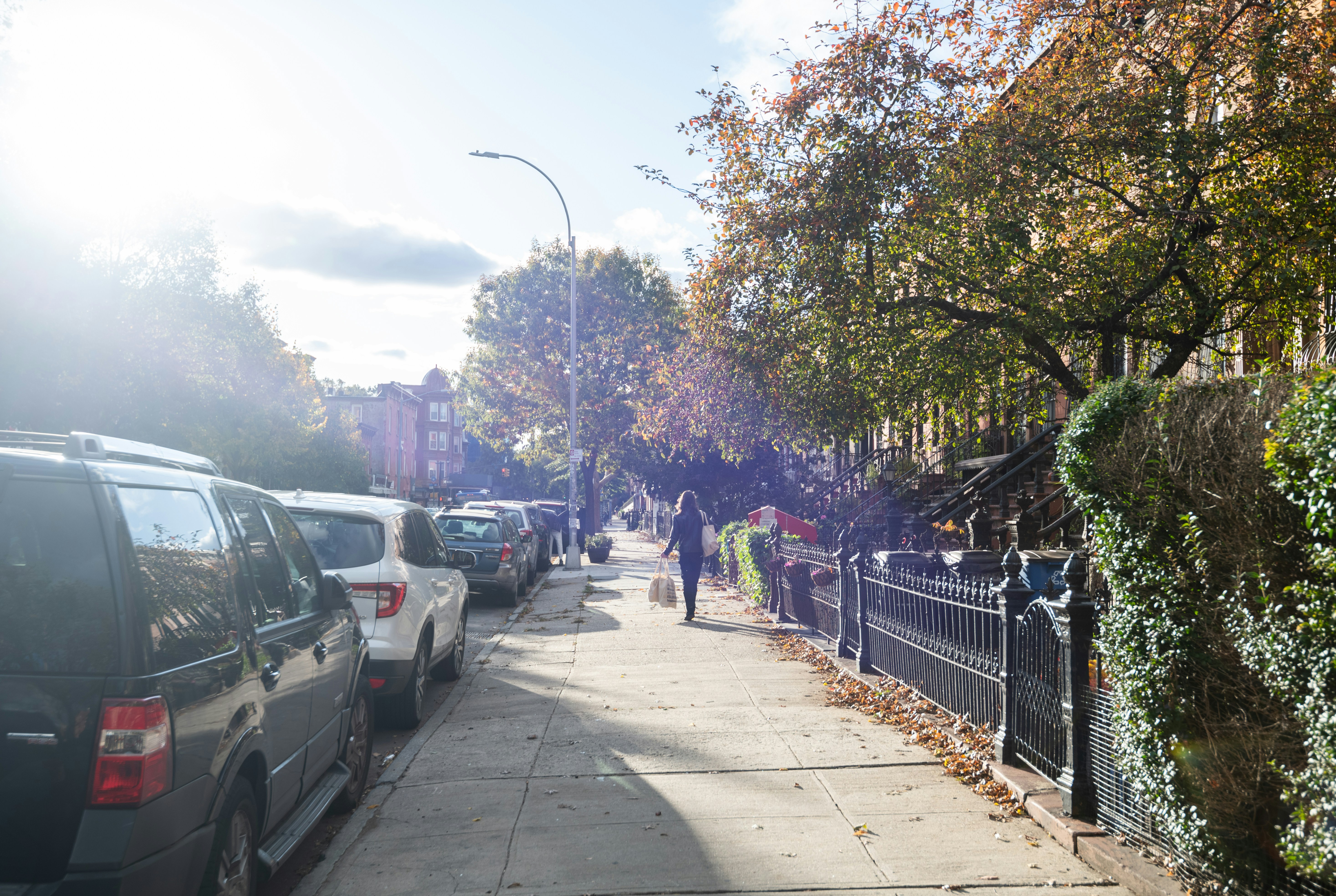 Sunlit Sidewalk Pulse: A Pedestrian Moment Between Cars and Ivy-Fenced Railings