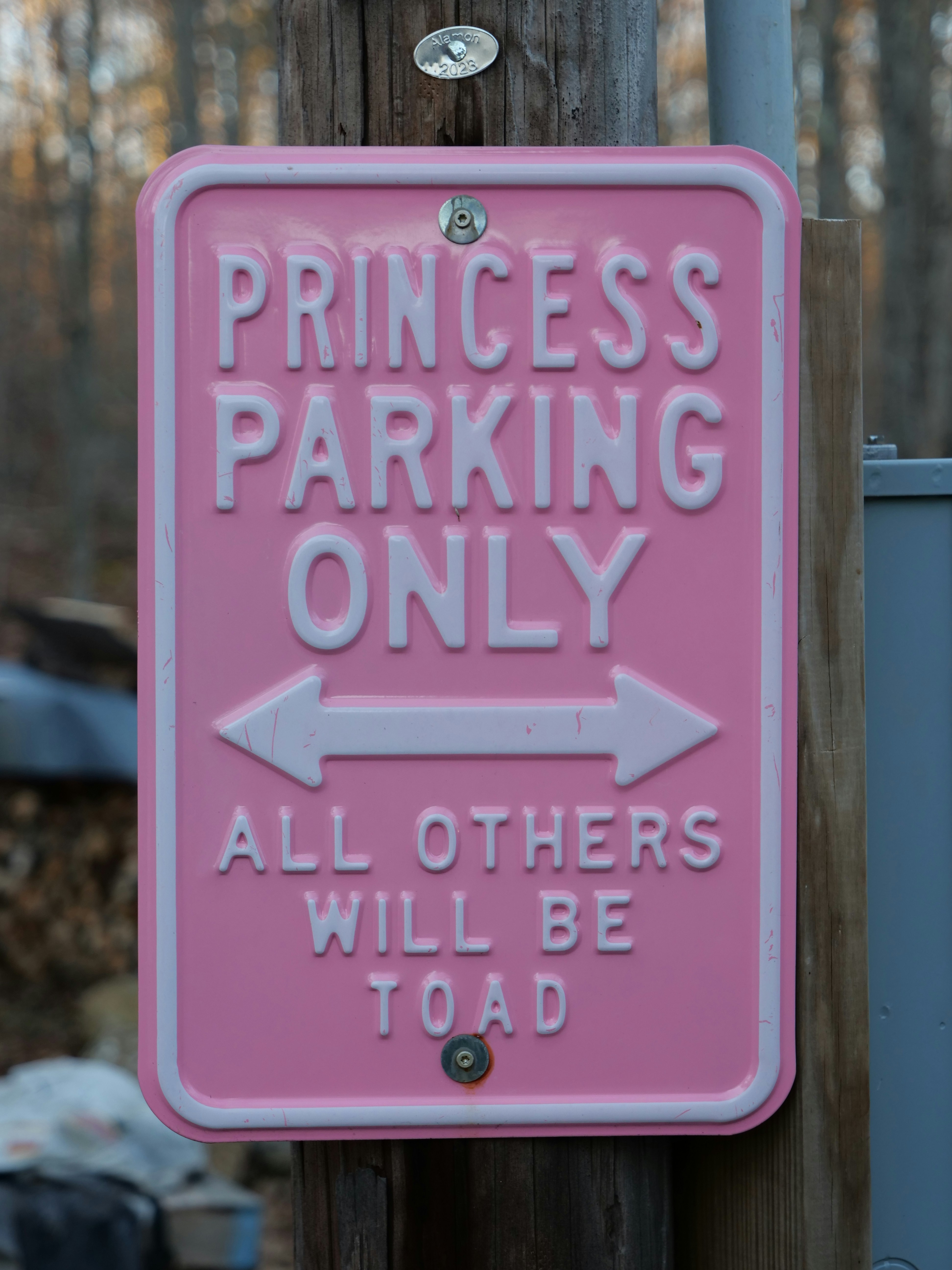A pink sign that says princess parking only all others will be toad ...