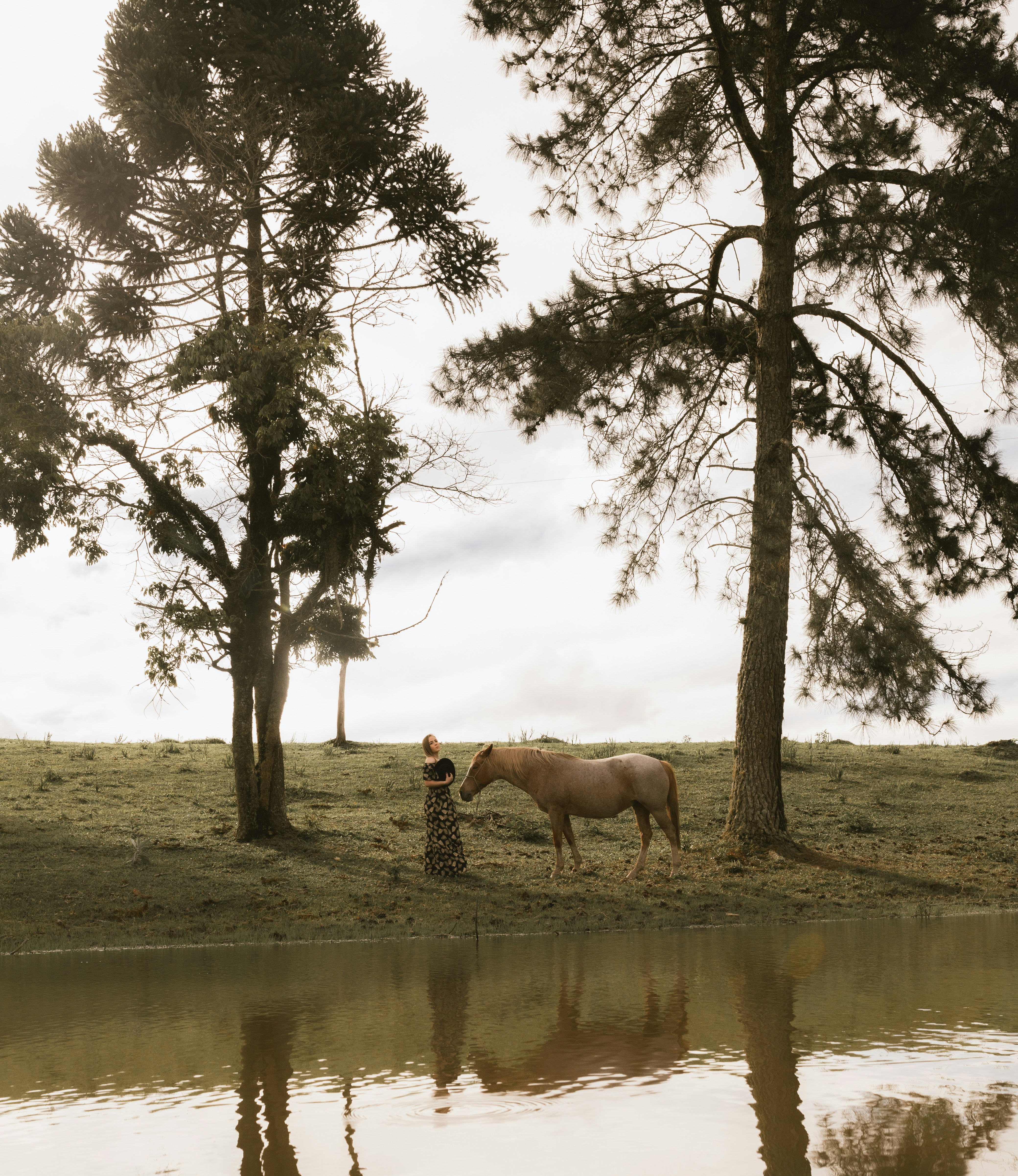 Quiet Bond by the Reflective Shore