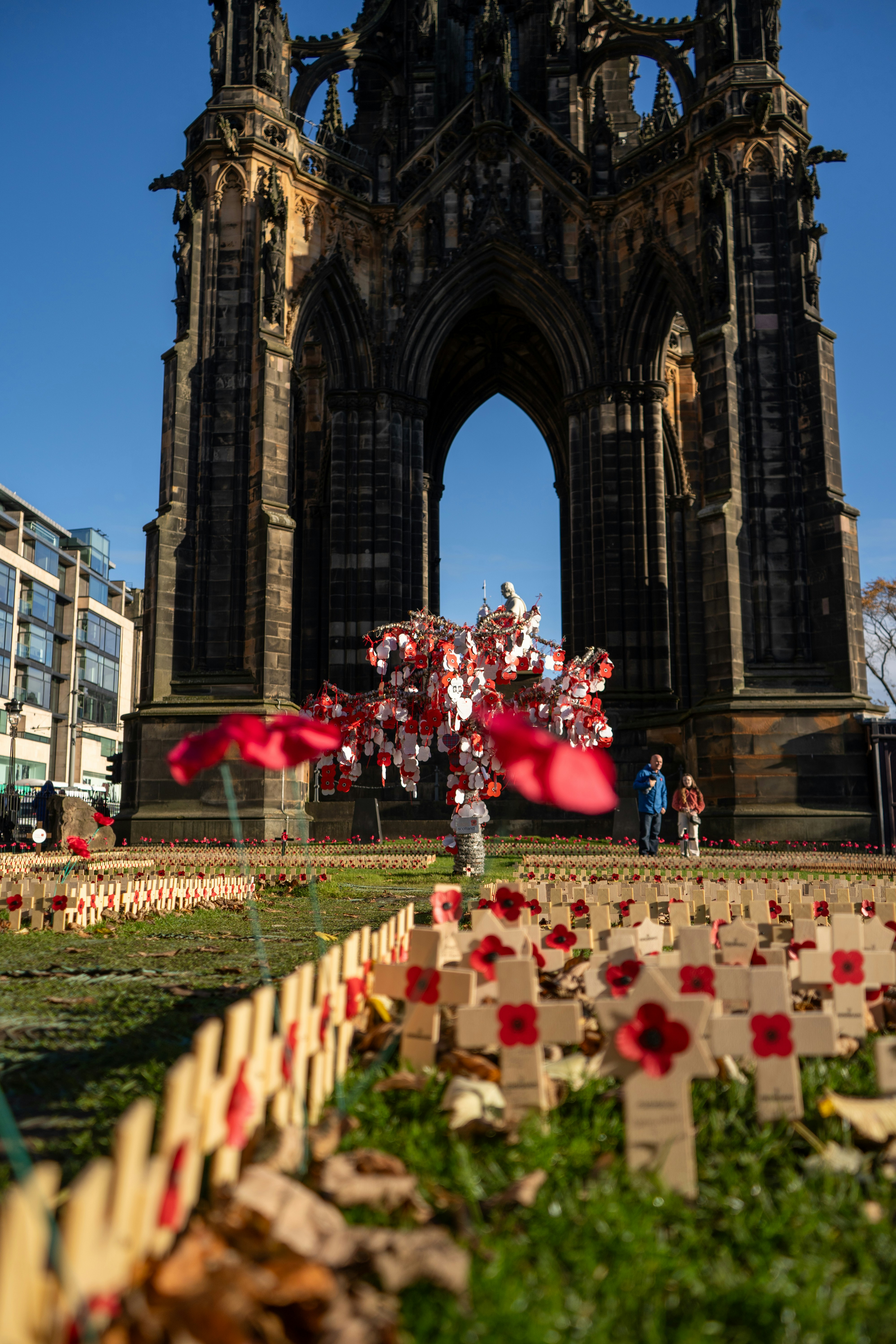 A vibrant display of red poppies and memorial crosses in front of a historic monument, symbolizing remembrance and honor. The scene captures a poignant moment of reflection and tribute.