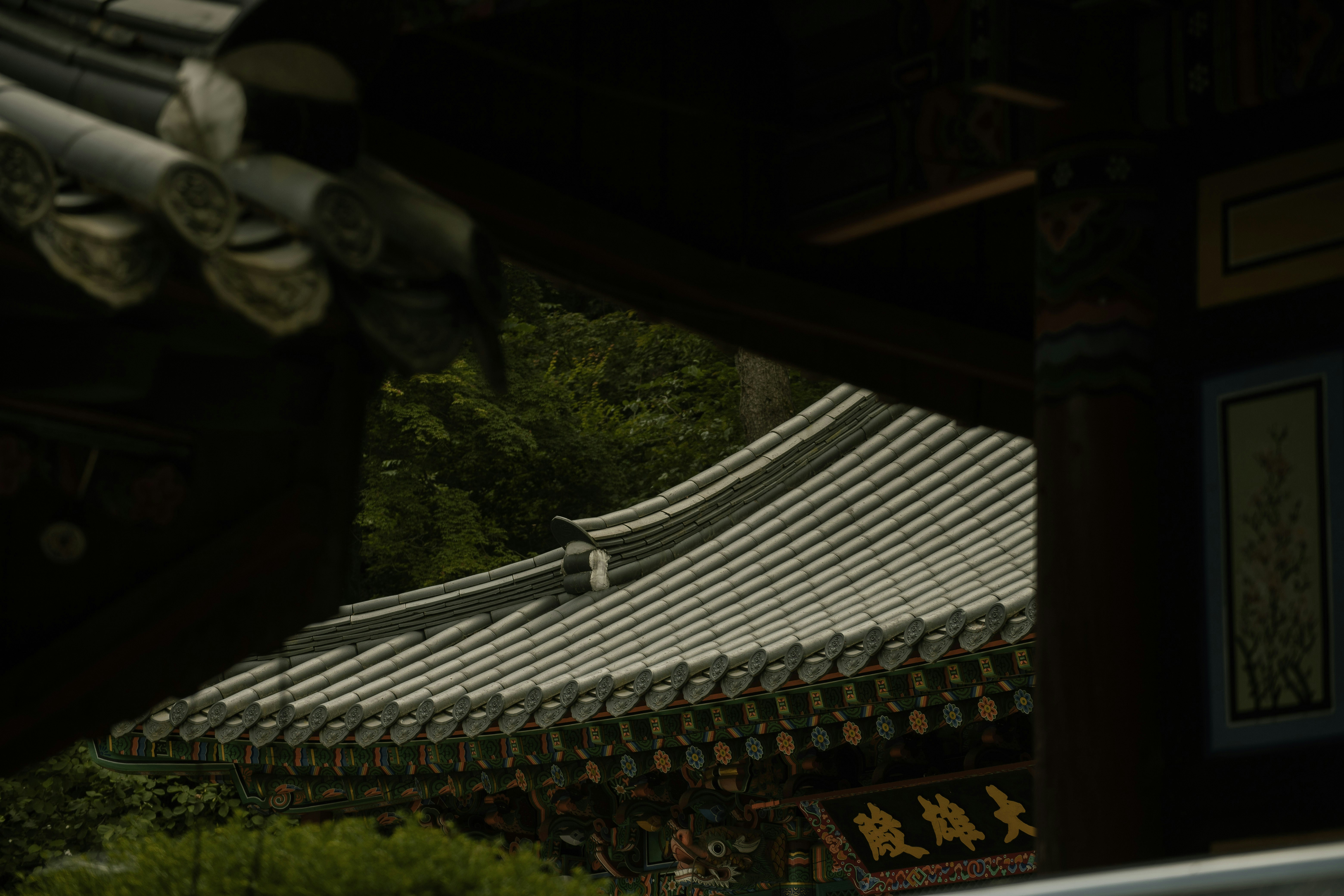 Framed Rooflines: A Temple Tile Roof Hidden in Shadow