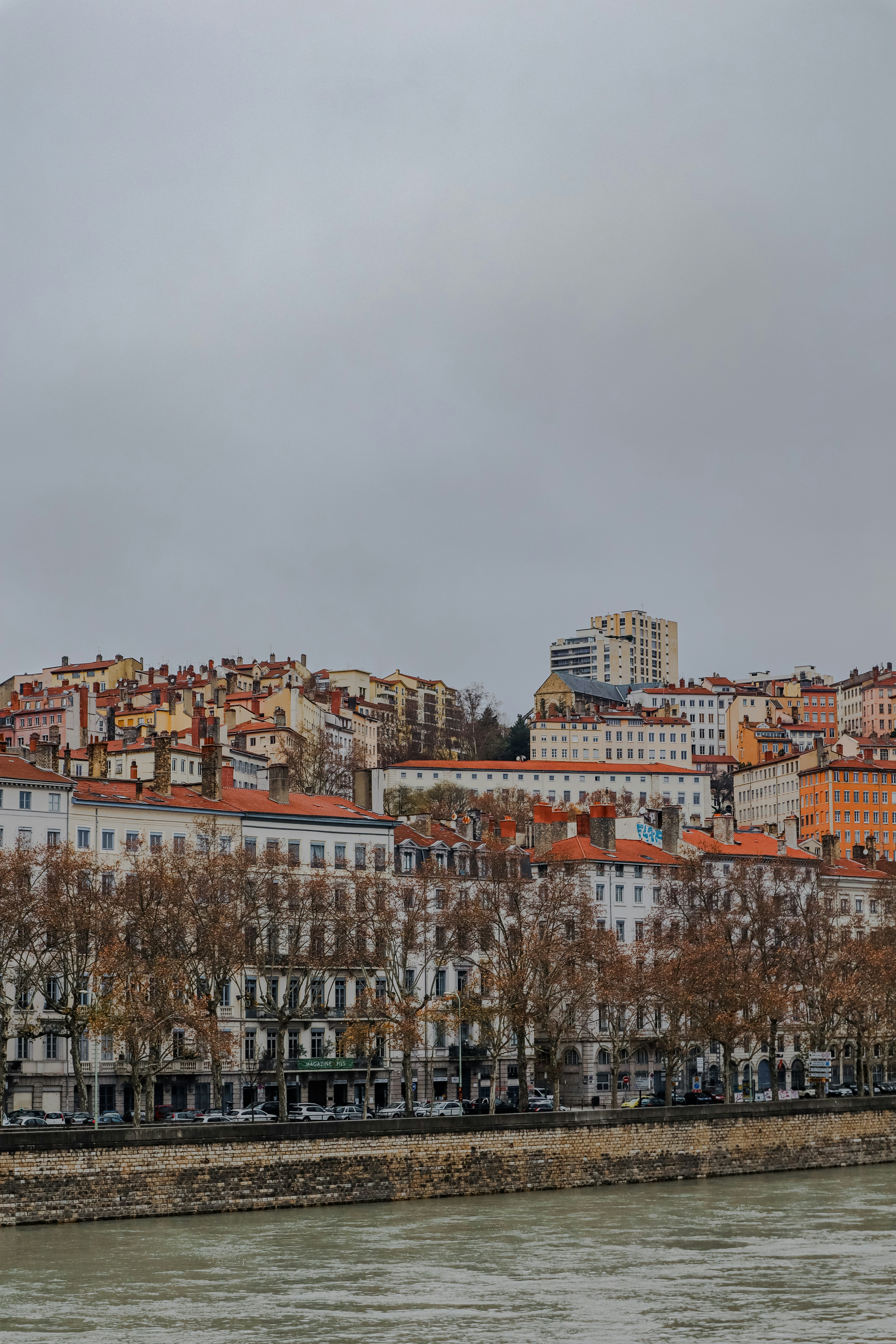 Riverside Rue: Terracotta Roofs and Leafless Trees Along a Somber Riverfront