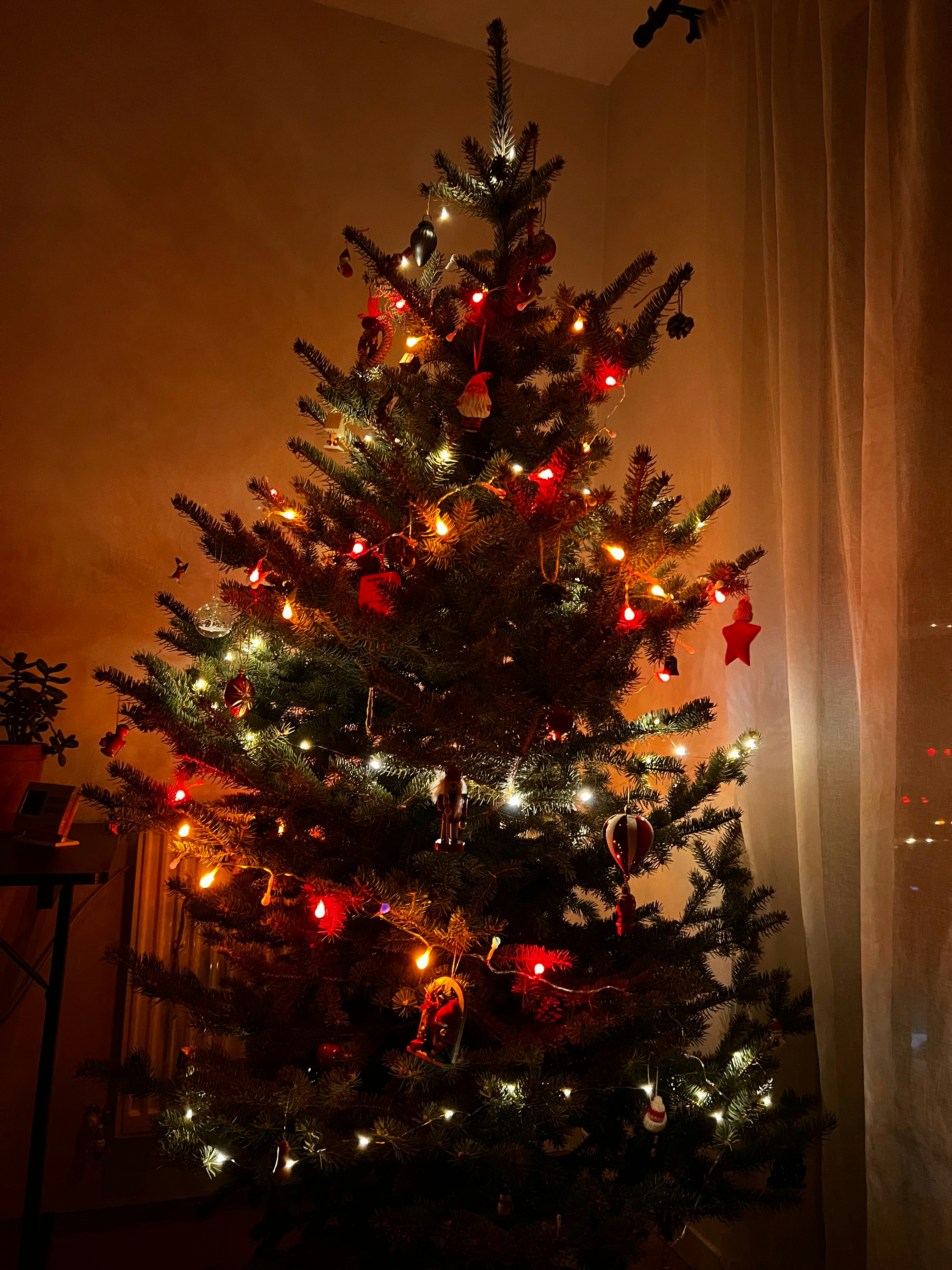 A lit christmas tree in a corner of a room photo – Free Christmas Image ...
