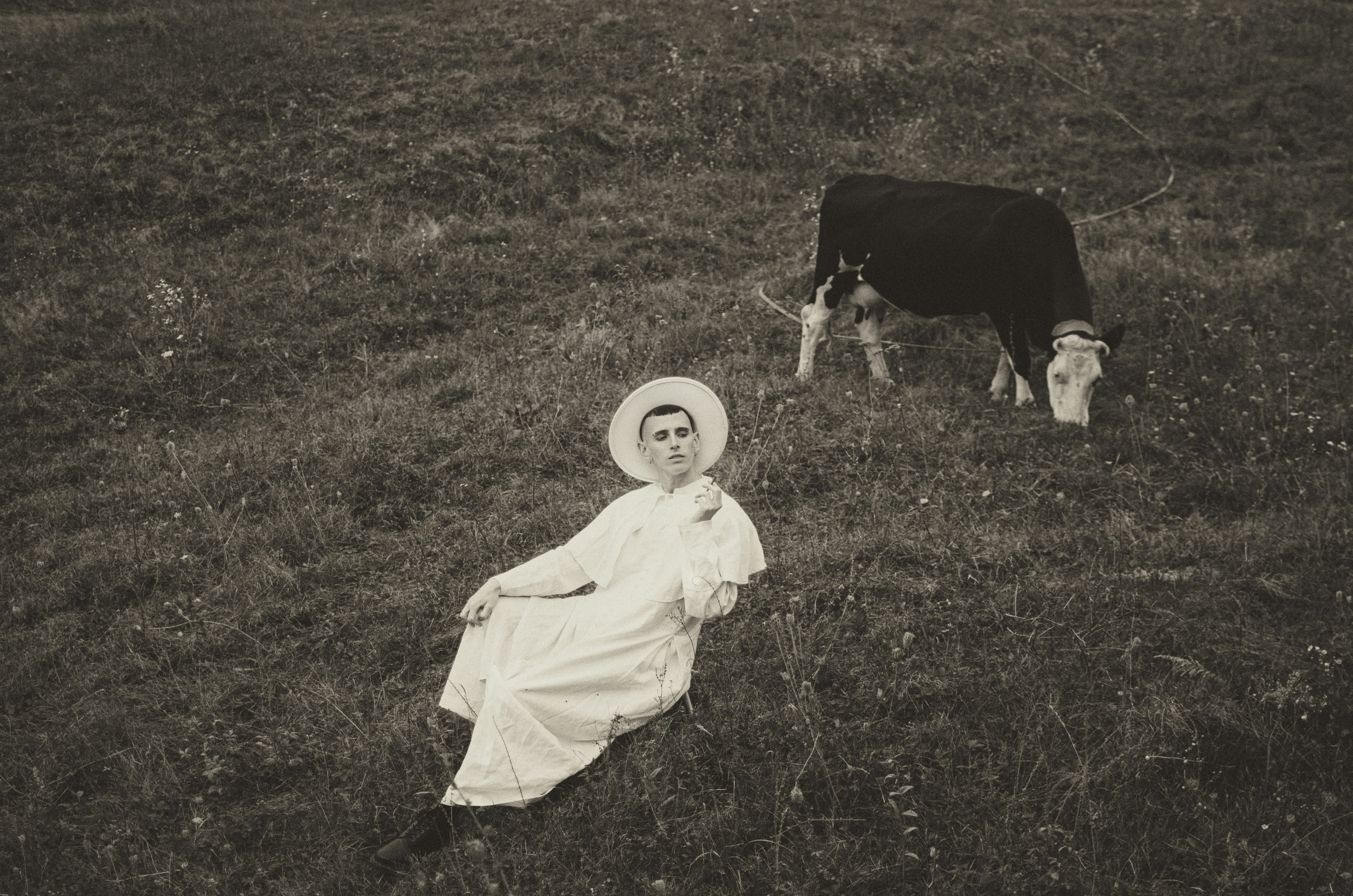 A Quiet Contemplation in Distant Pastures