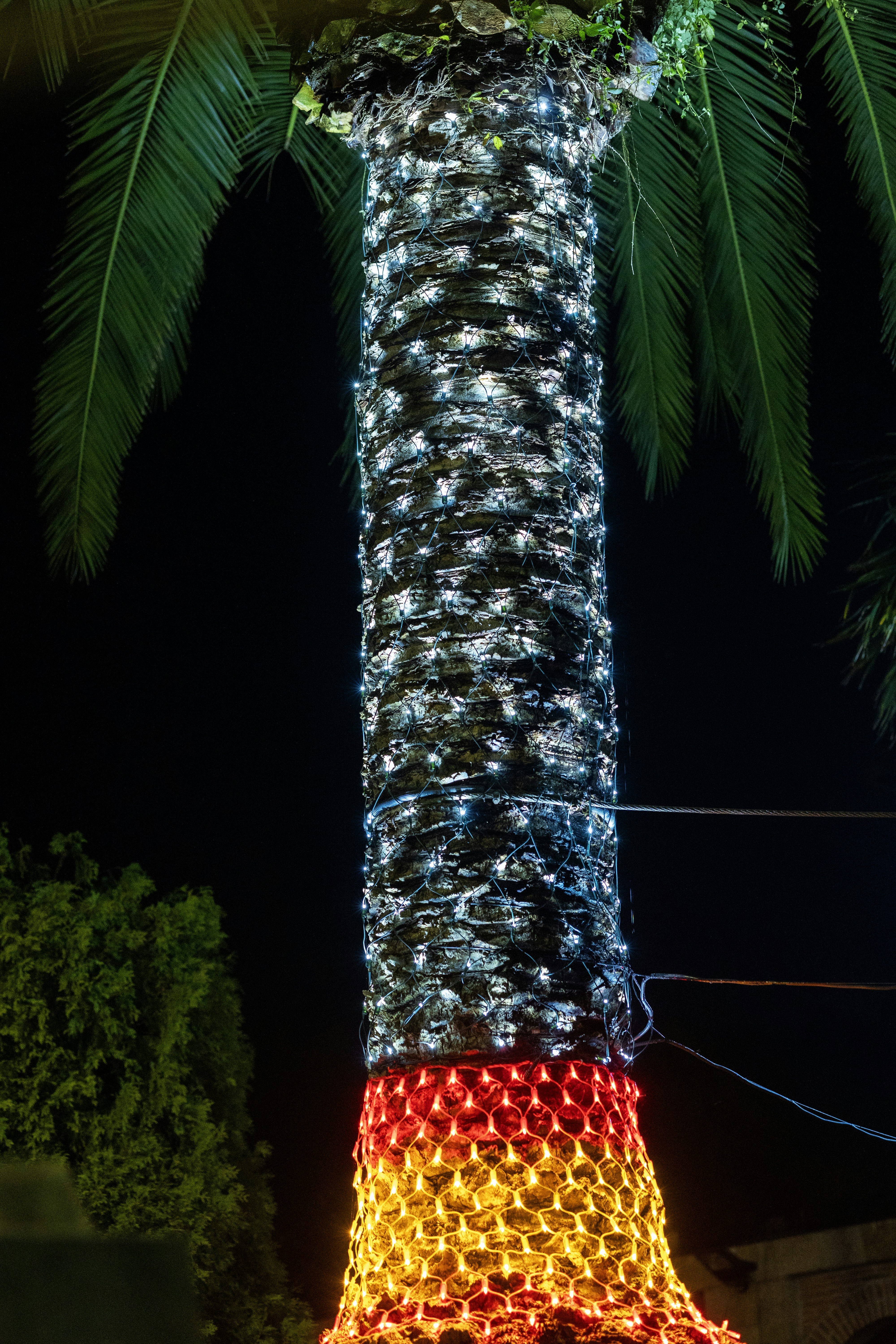 Photo by Frederick Adegoke Snr. with Canon EOS R6 Mark II