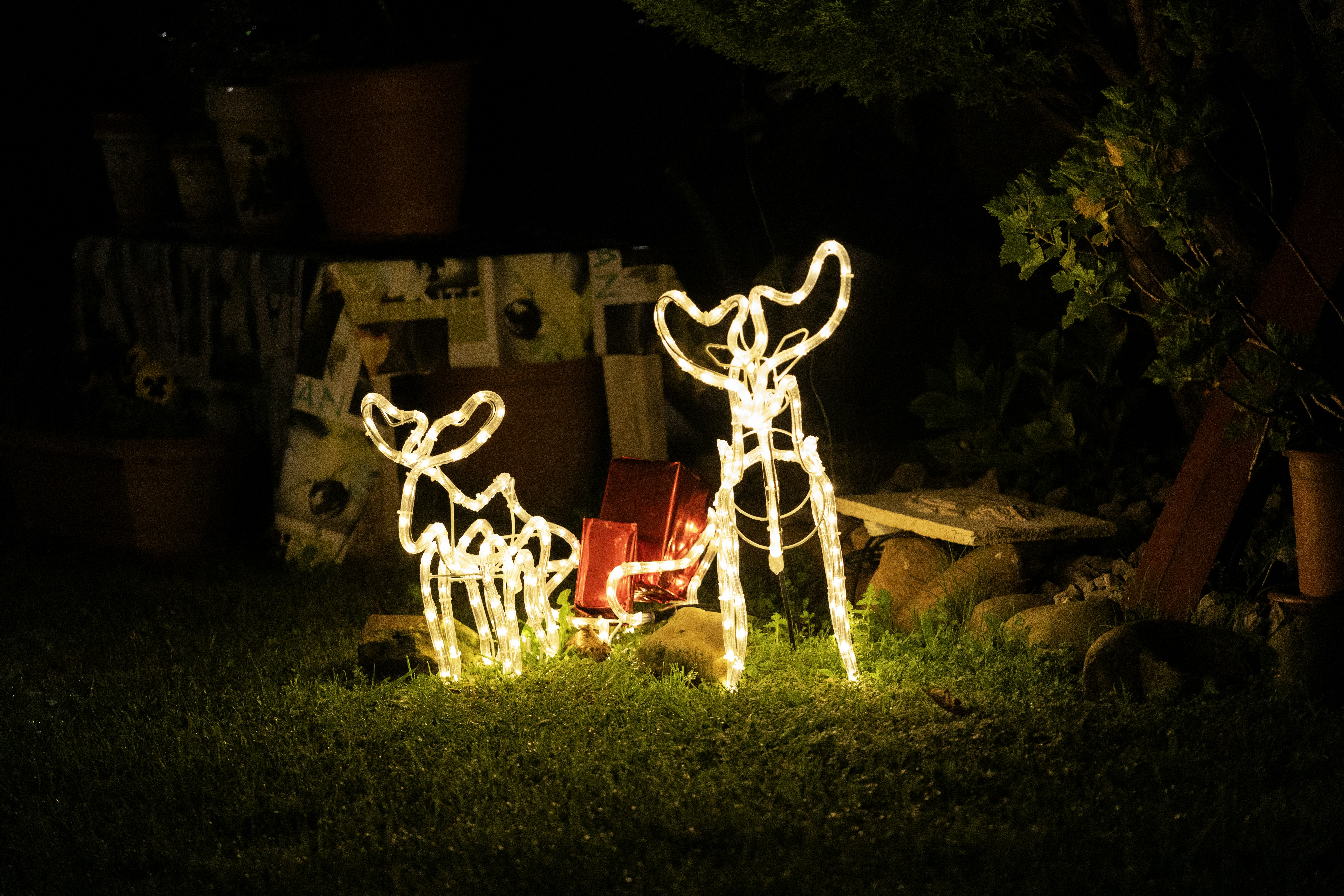 Glowing Reindeer Duo Illuminates a Quiet Night Garden