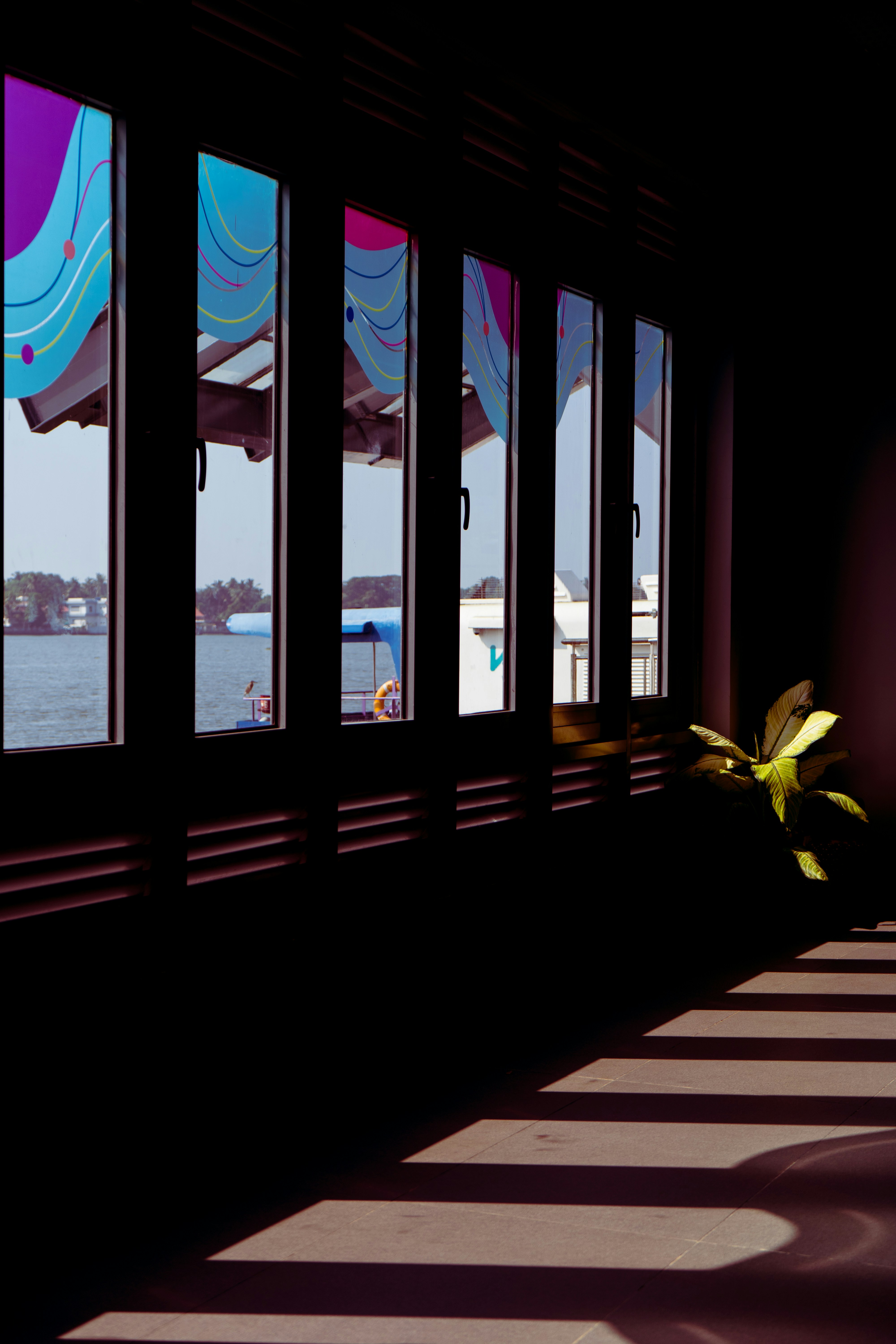 Sunlit Patterns Through Vibrant Windows