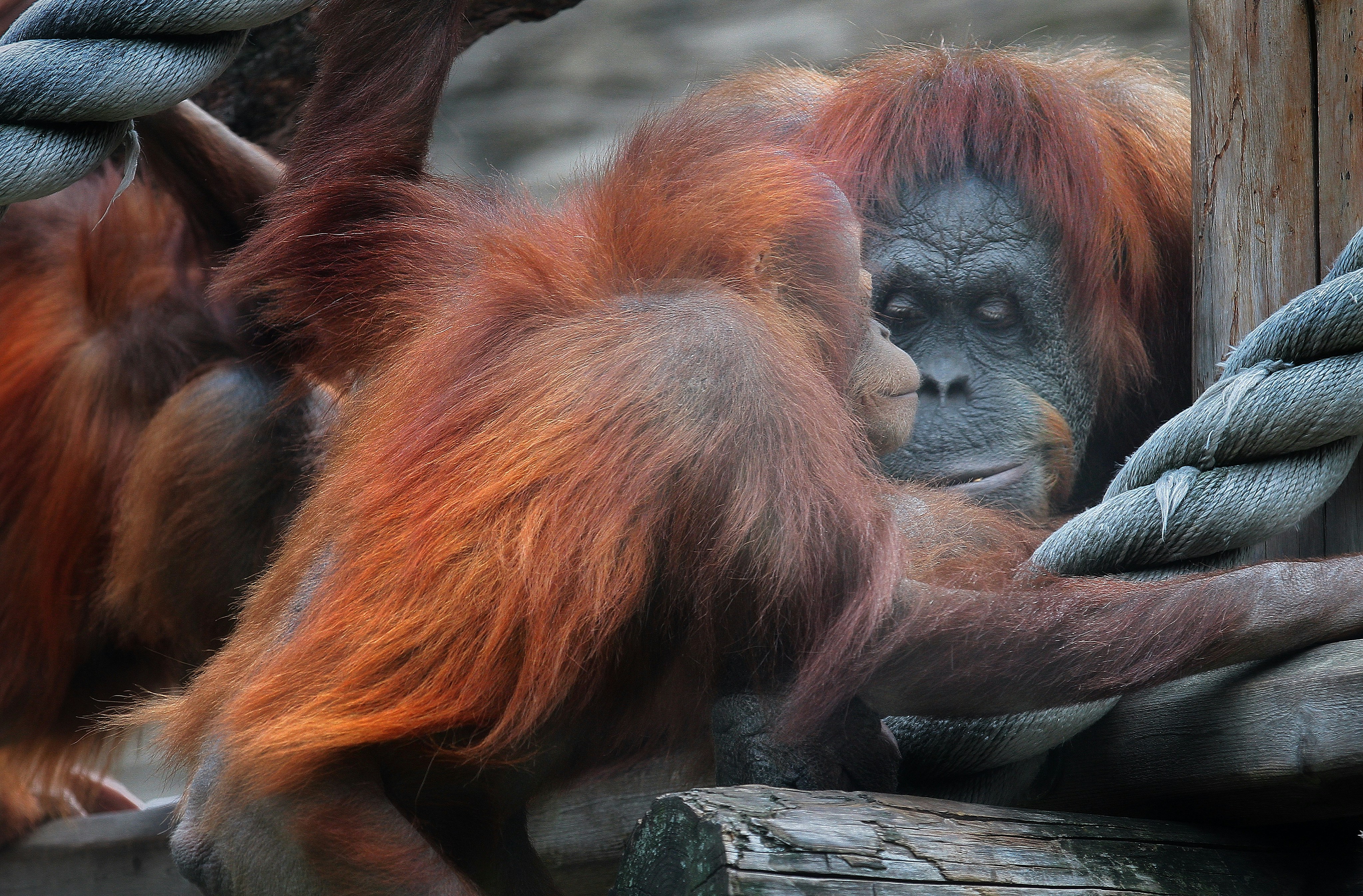 Photo by Andrey Tikhonovskiy with Canon EOS 7D